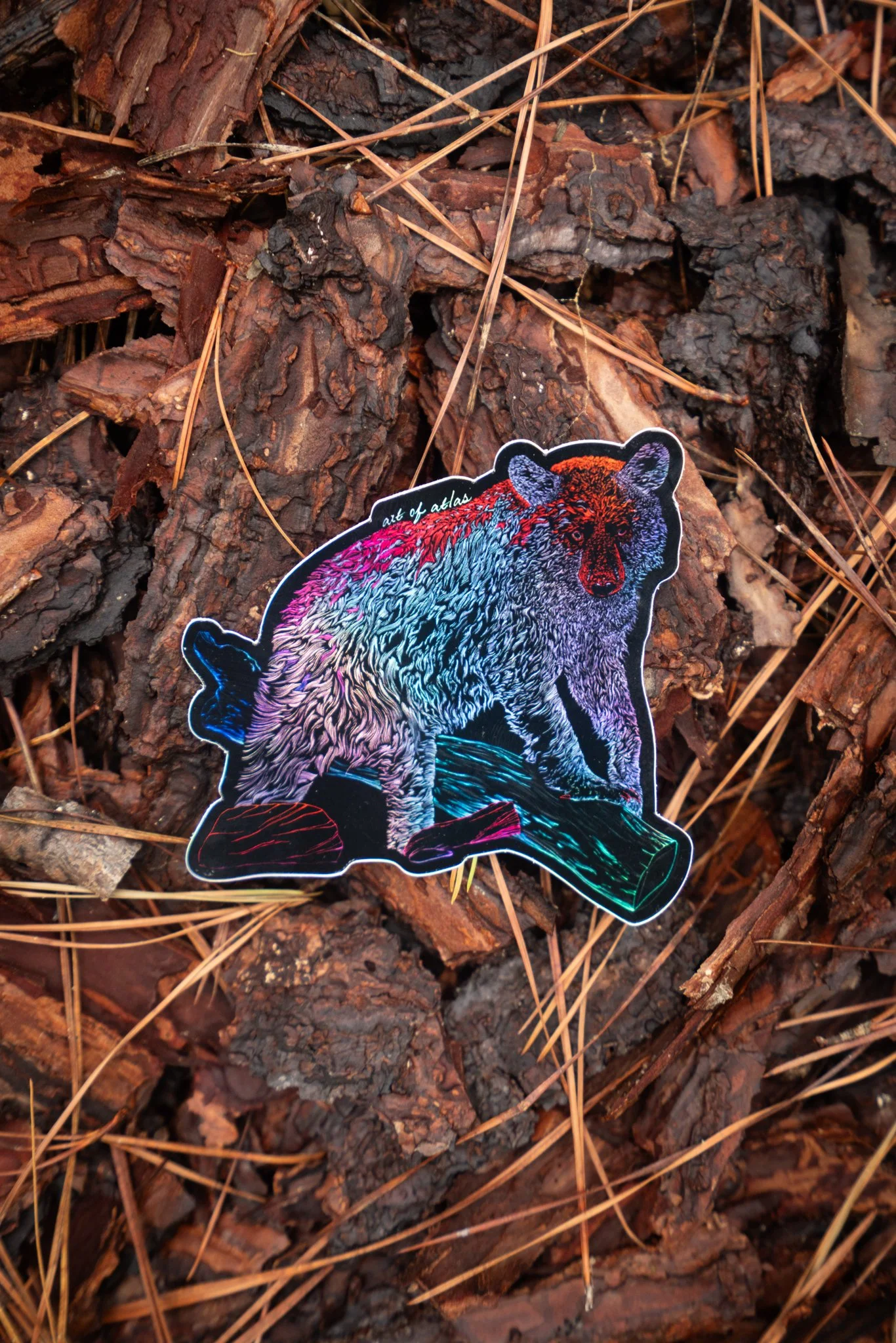 Black Bear Holographic Sticker — Art of Atlas Art & Design