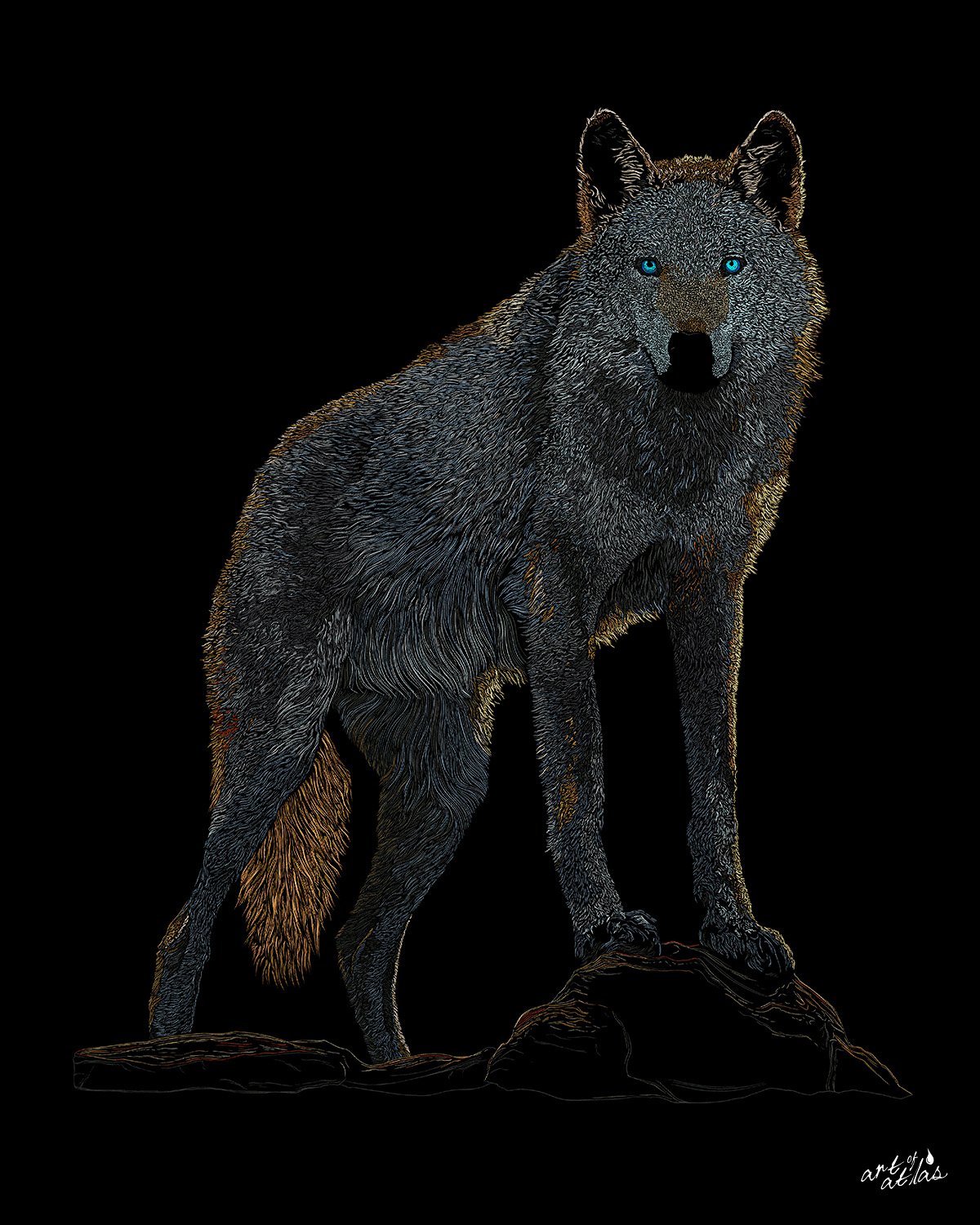 Wolf Illustration on Hahnemühle Photo Rag® Metallic — Art of Atlas Art ...