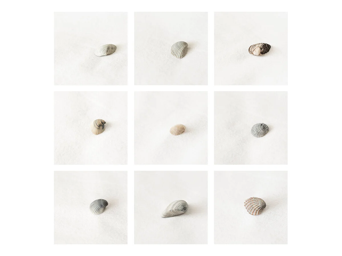 Typologies ~ Photo I Showcase — Blue Light