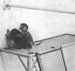 The Reciprocal Benefits of Connecting with People - Jim Hjort