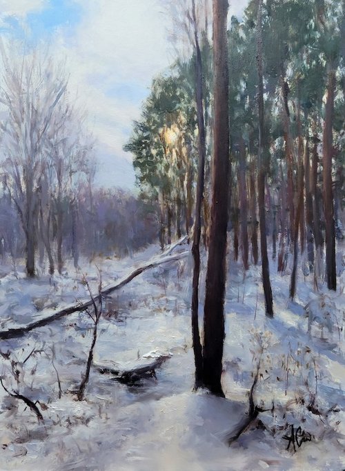 Fine and Decorative Art by Anthony M. Cairo