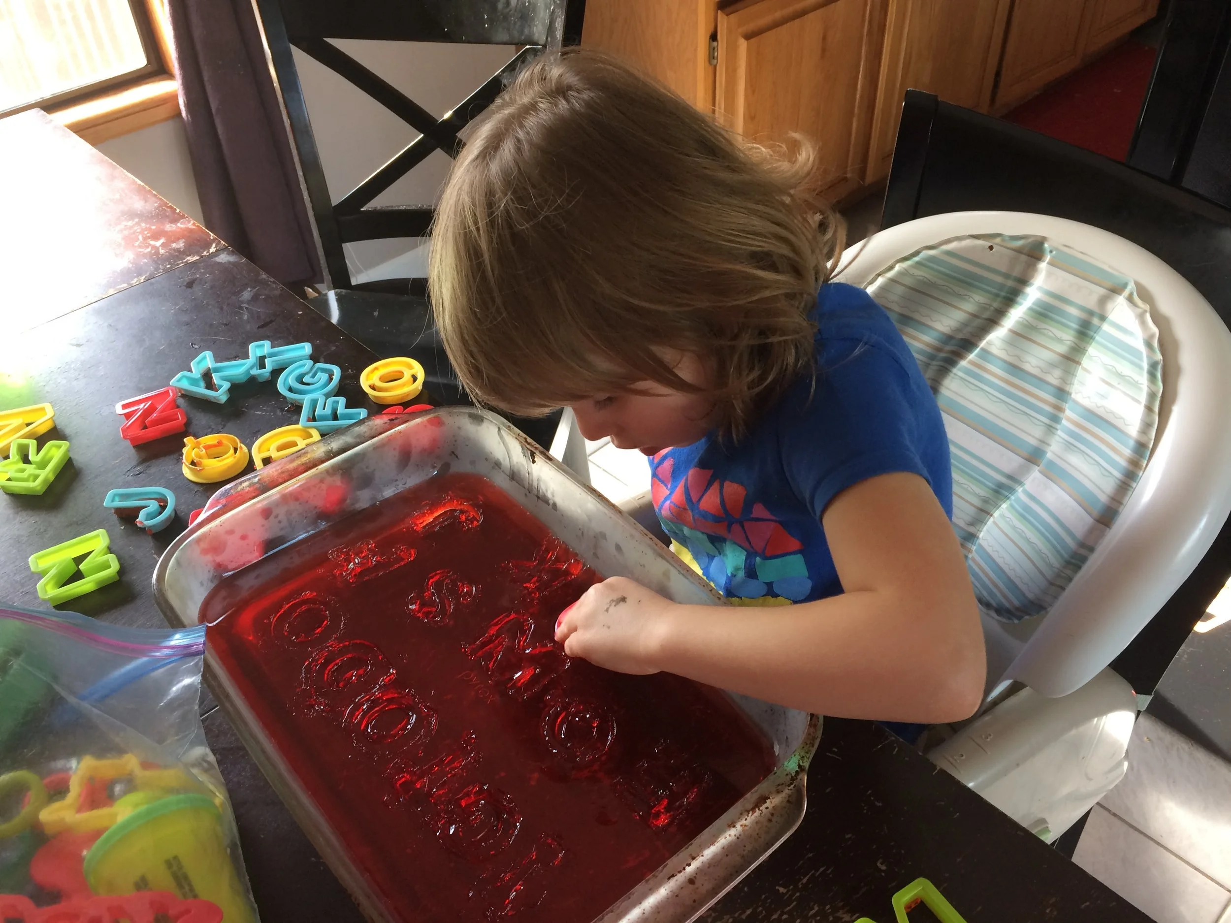 Animal Cell Project Jello