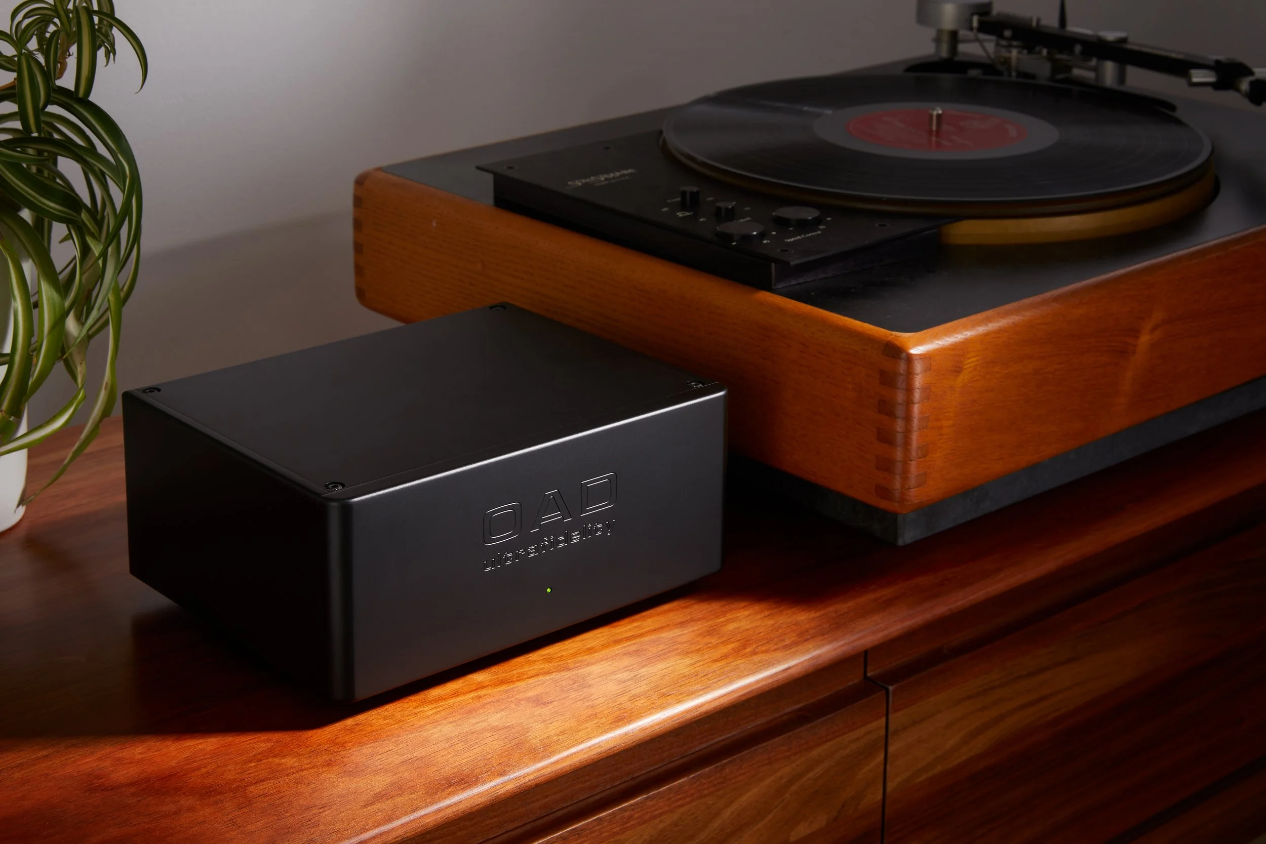 Professional Photography Insights | IJ Productions Blog