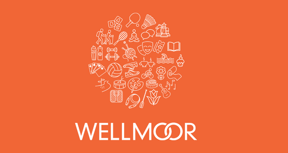 Devon Day Trippers Group Leader: December 2022 Onwards — Wellmoor