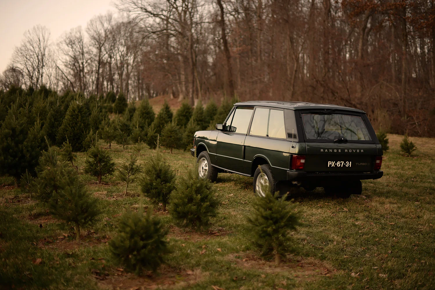 1991 Land Rover, Range Rover Classic - Commonwealth Classics