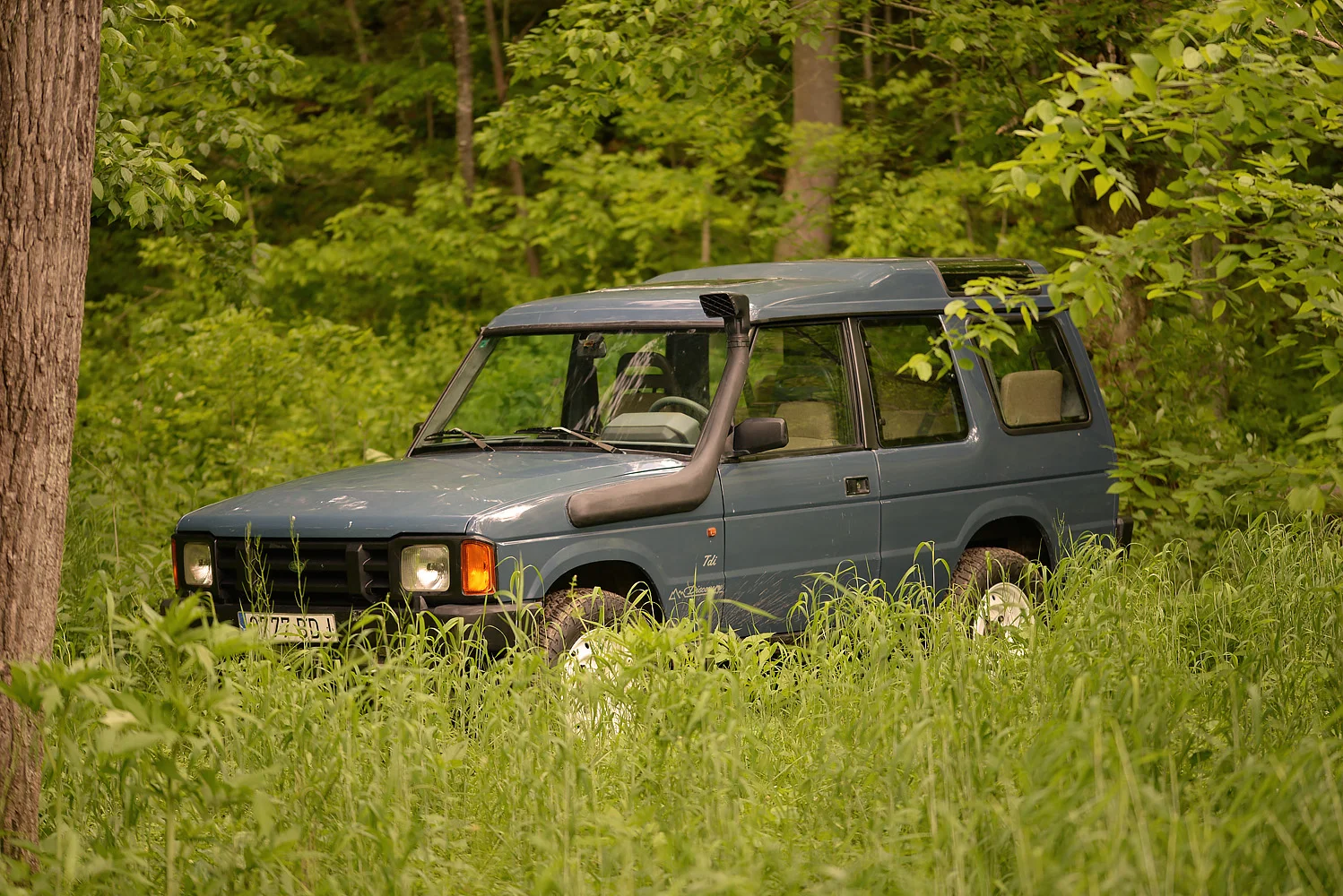 1991 Land Rover Discovery - Commonwealth Classics