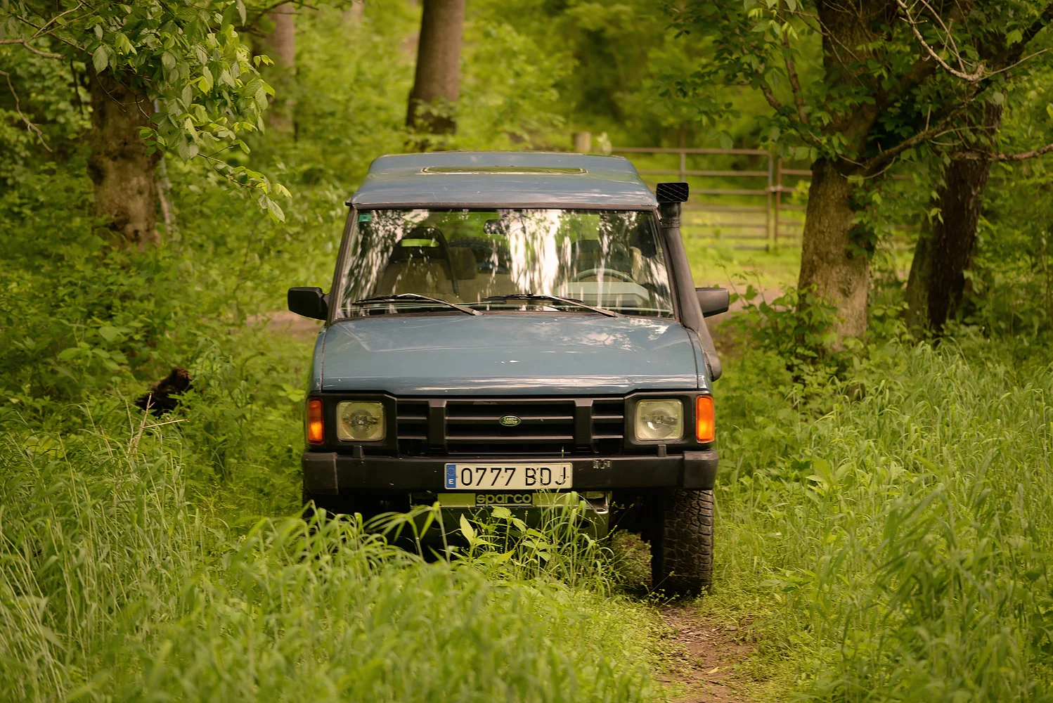 1991 Land Rover Discovery - Commonwealth Classics