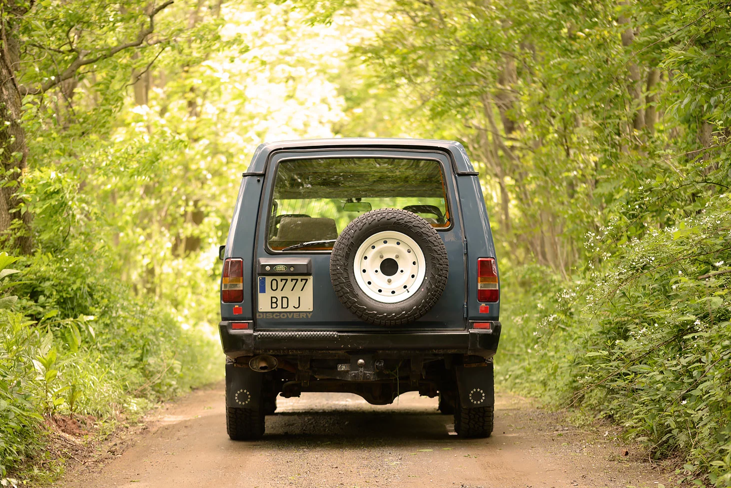1991 Land Rover Discovery - Commonwealth Classics