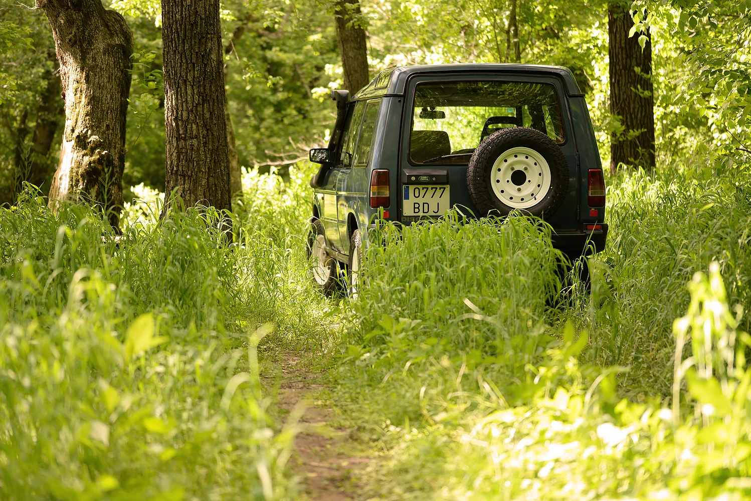 1991 Land Rover Discovery - Commonwealth Classics