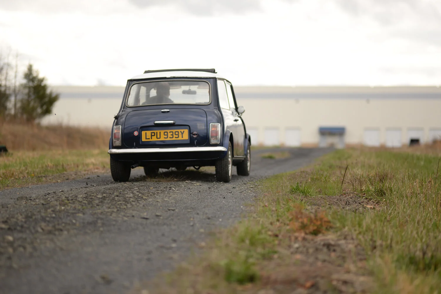 1983 Austin Mini - Commonwealth Classics