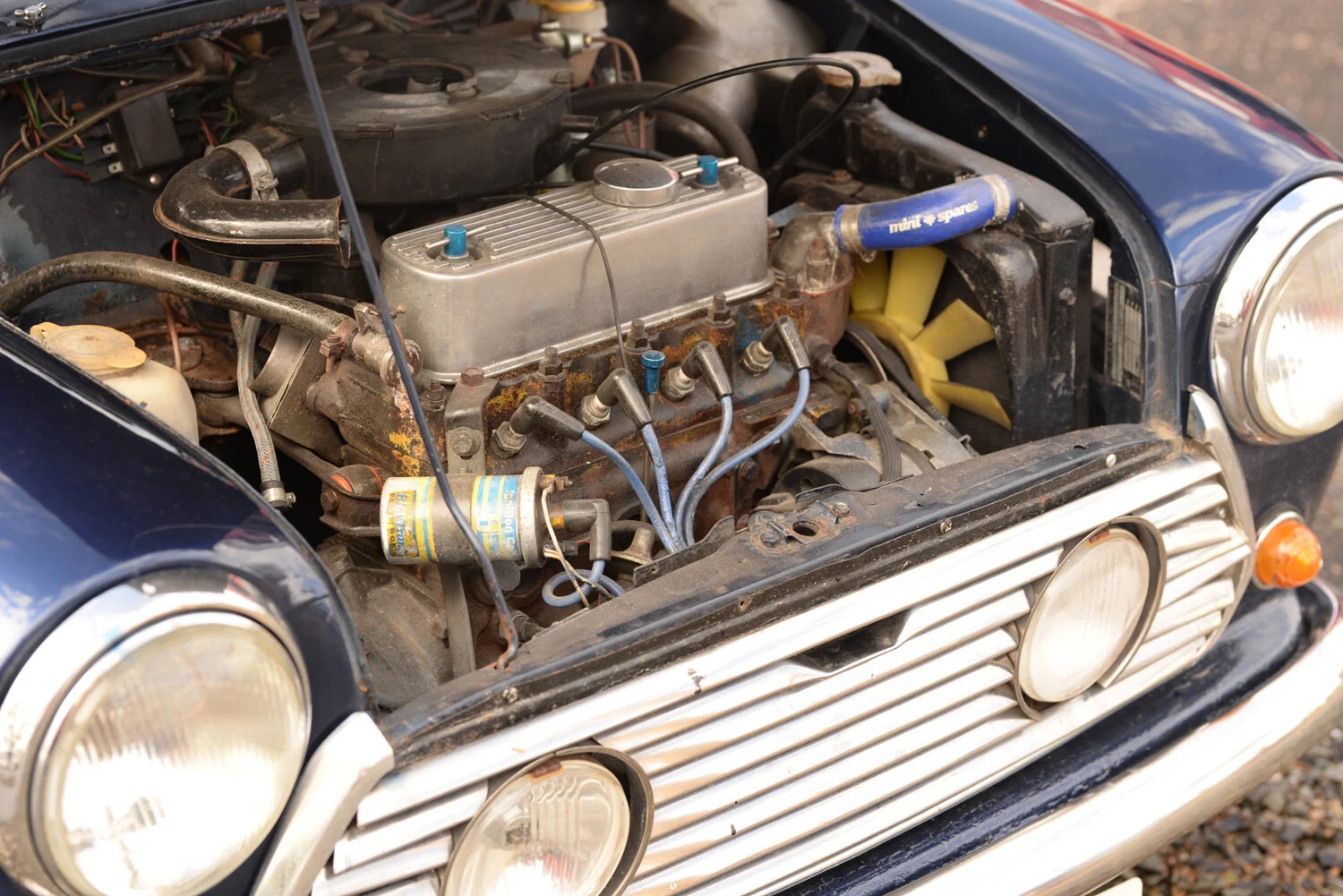 1983 Austin Mini - Commonwealth Classics