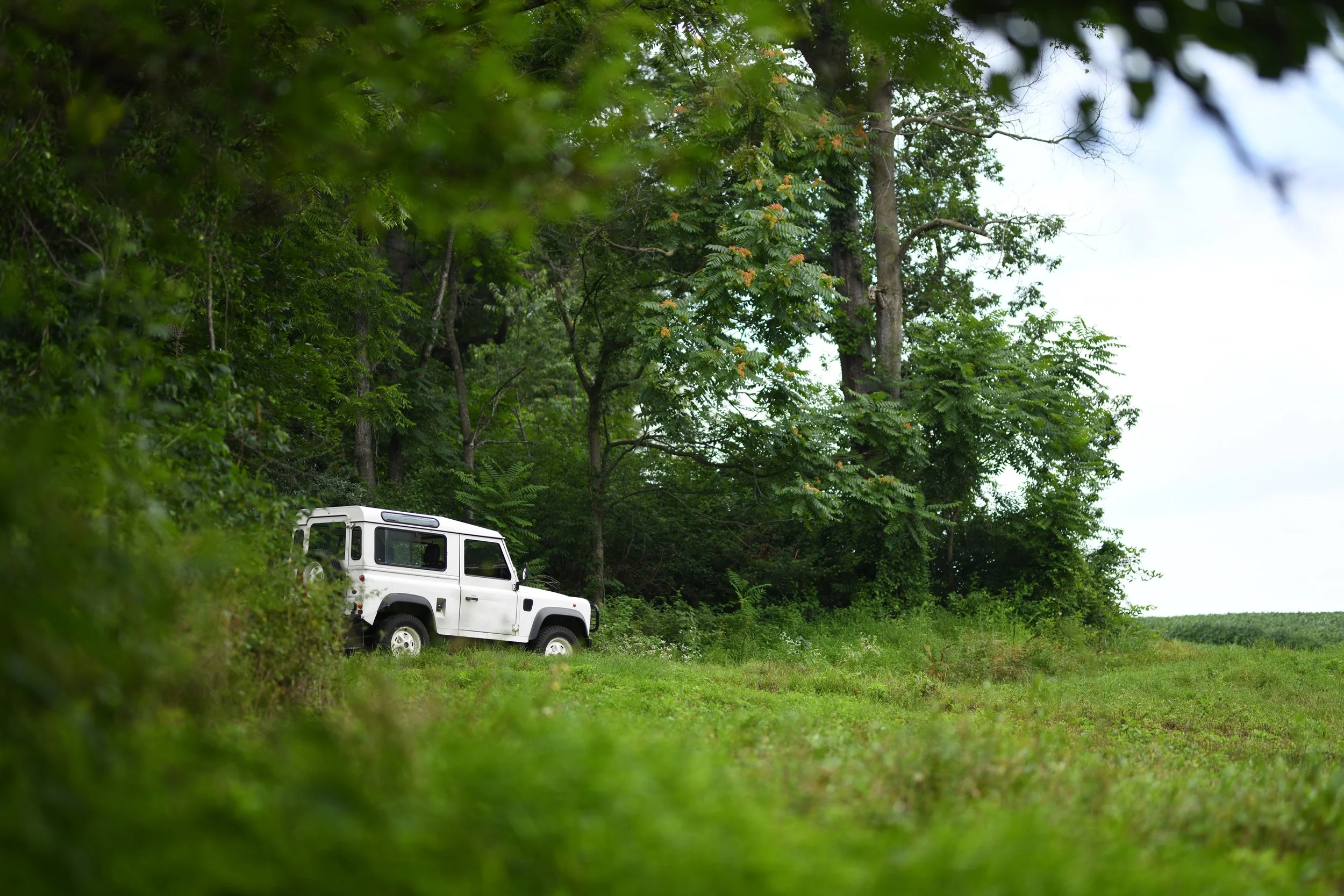 Journey - Commonwealth Classics