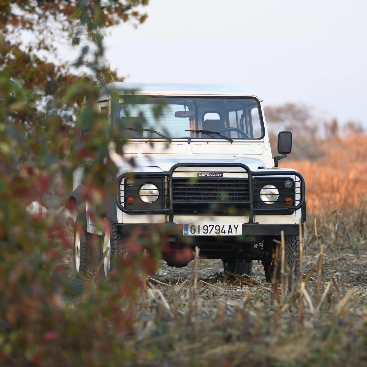 Commonwealth Classics - Specialists in Land Rover Defenders, Range ...