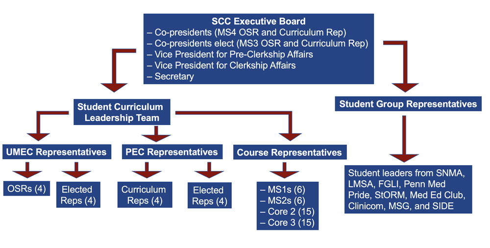 Structure — Medical Student Government
