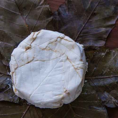 Our Cheeses — Capriole Goat Cheese