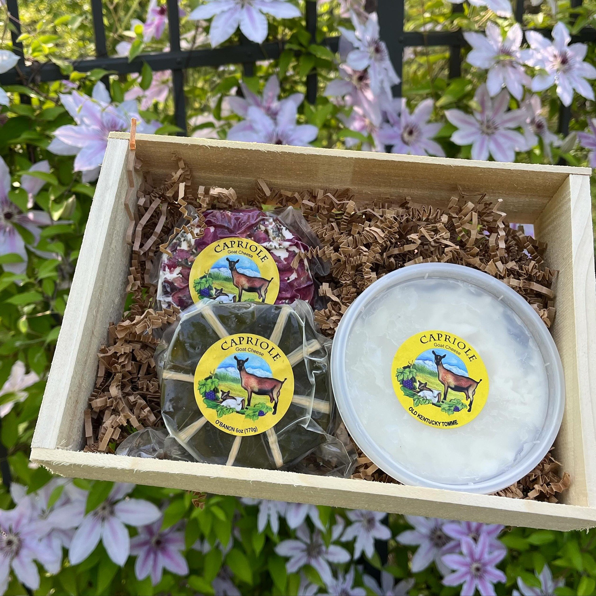 Capriole Goat Cheese