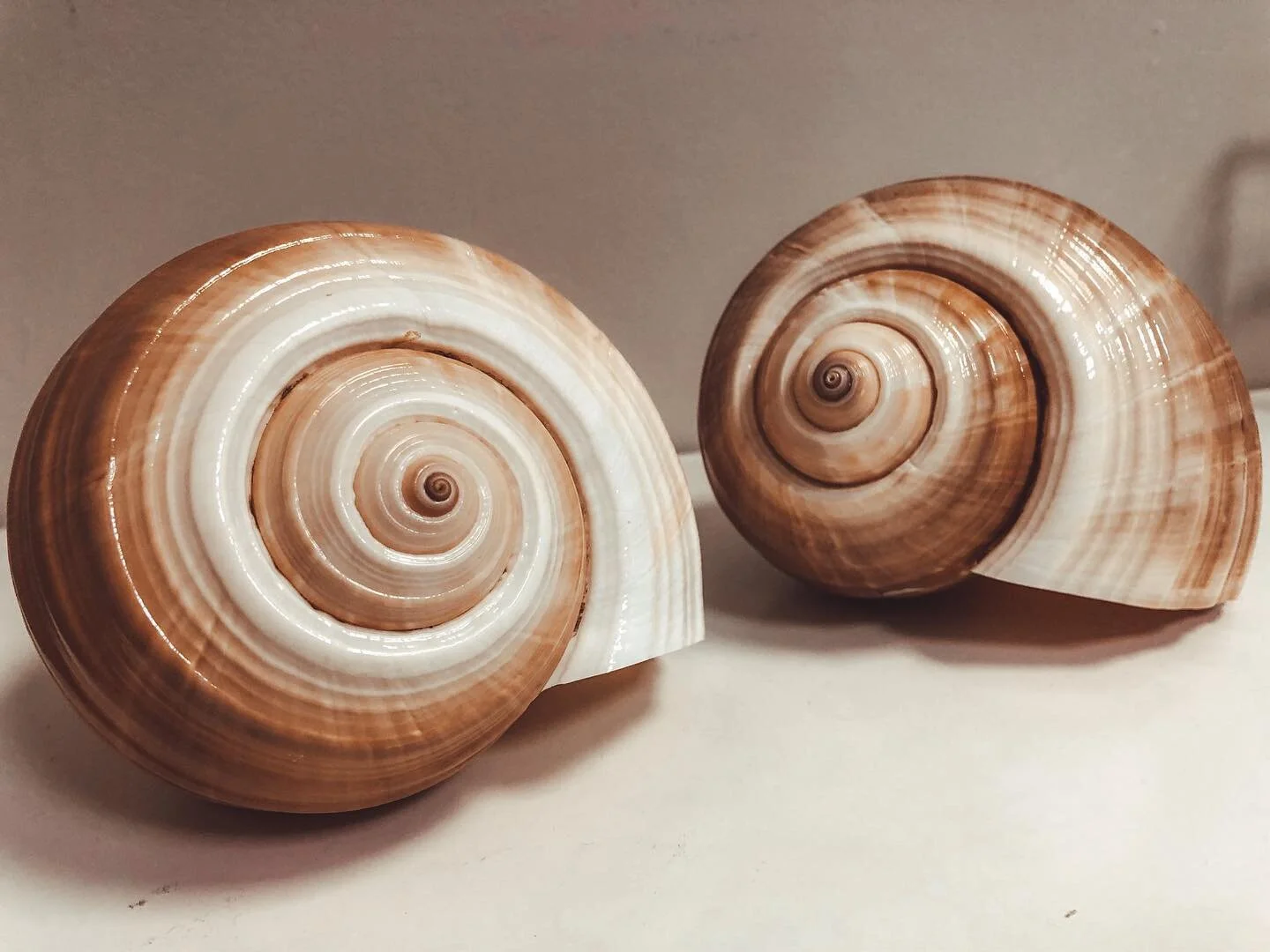 Ocean Medical & Dental Clinic - Medical & Dental Clinic