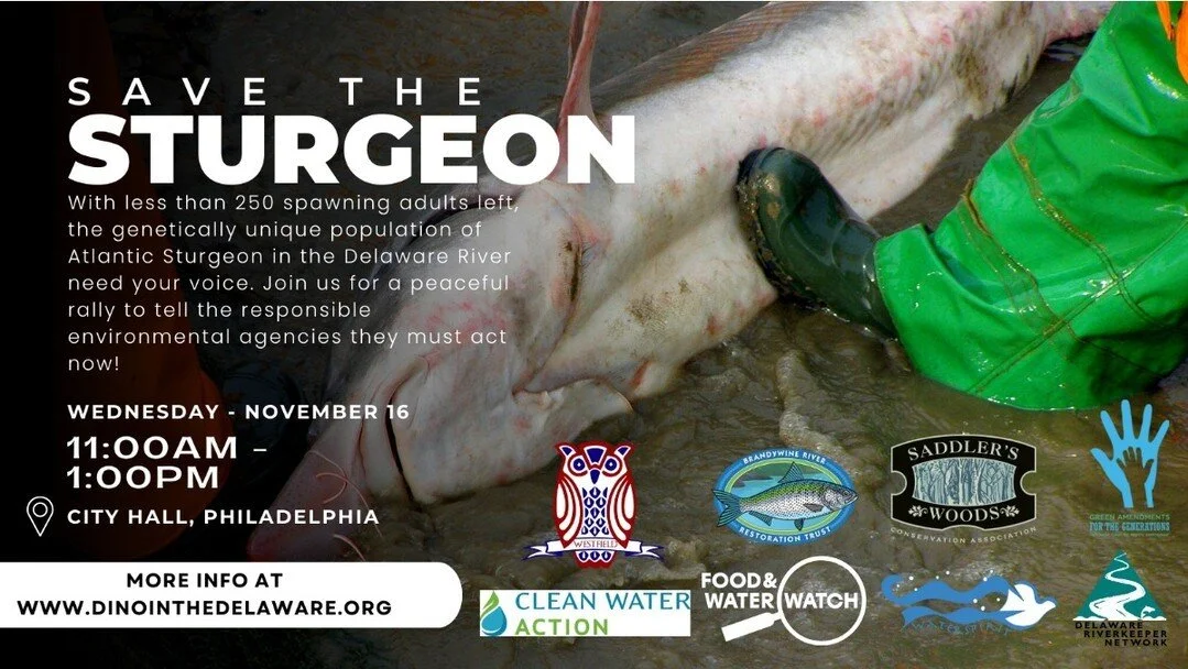 Eco-Anxiety Support Group — Waterspirit