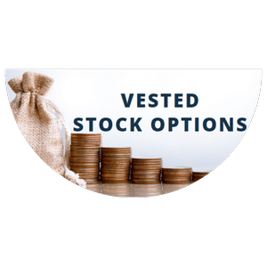 Vested Stock Options: Definition and Types of Vesting Schedule ...
