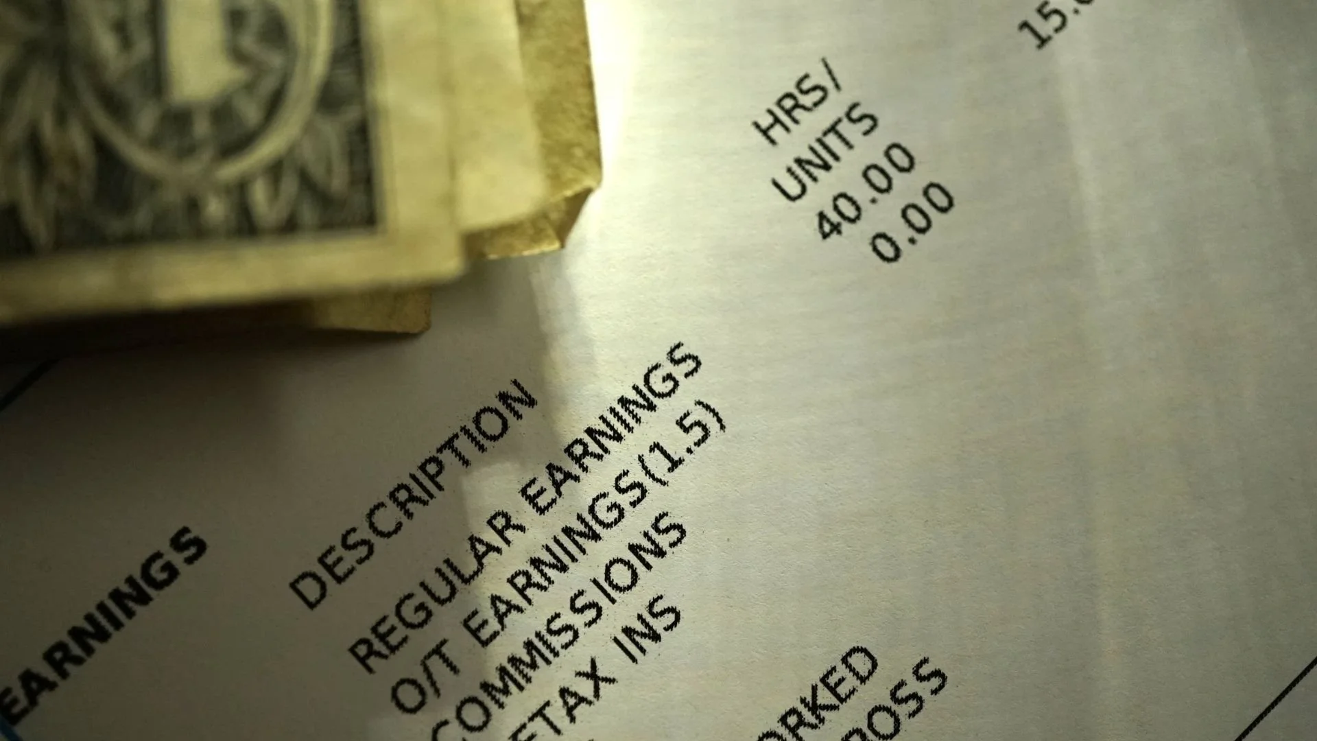 Stock Offset on Paystub: Decoding Your Paystub — Brooklyn Fi