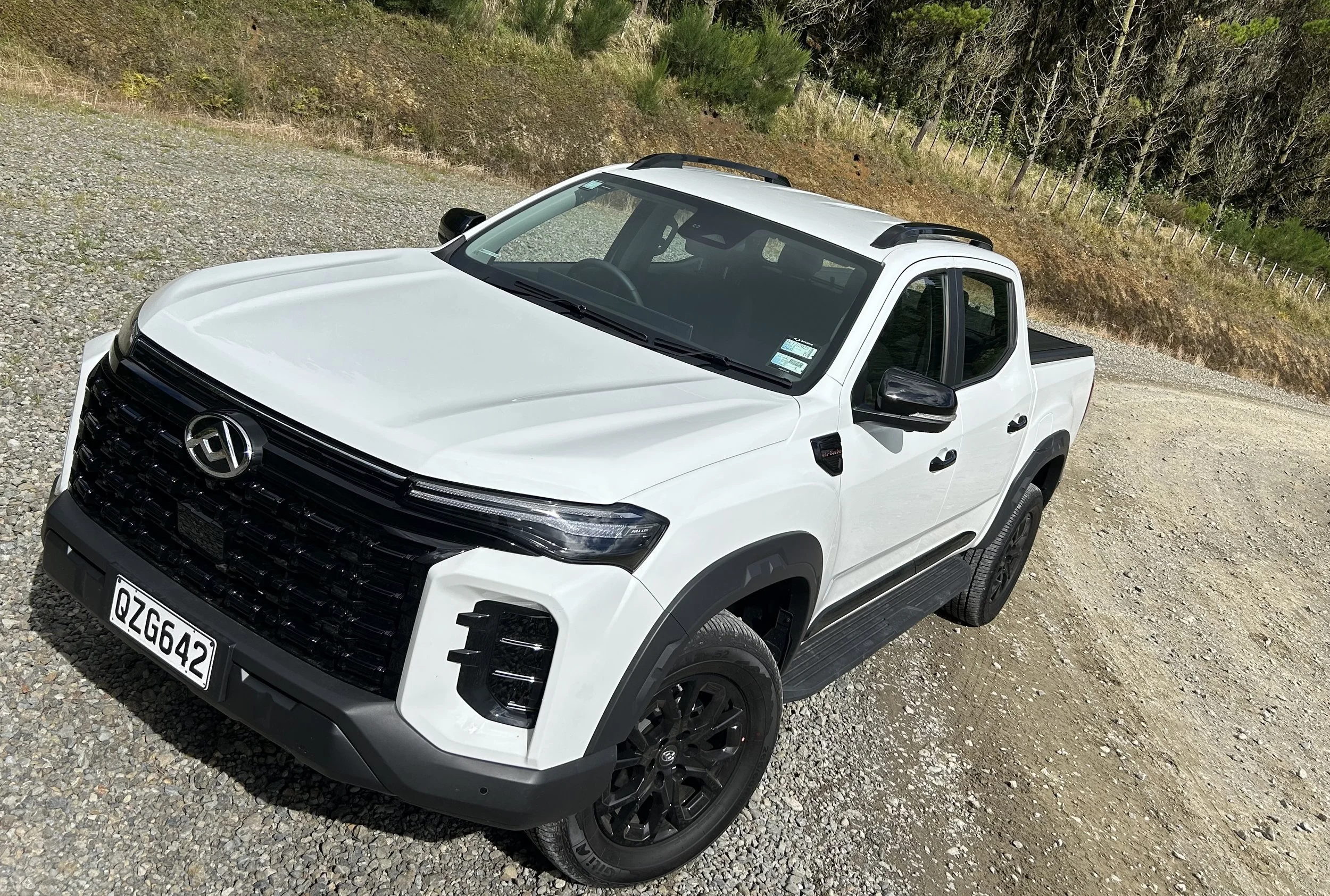 Watchdog sees red over LDV rust concern — Motoringnz