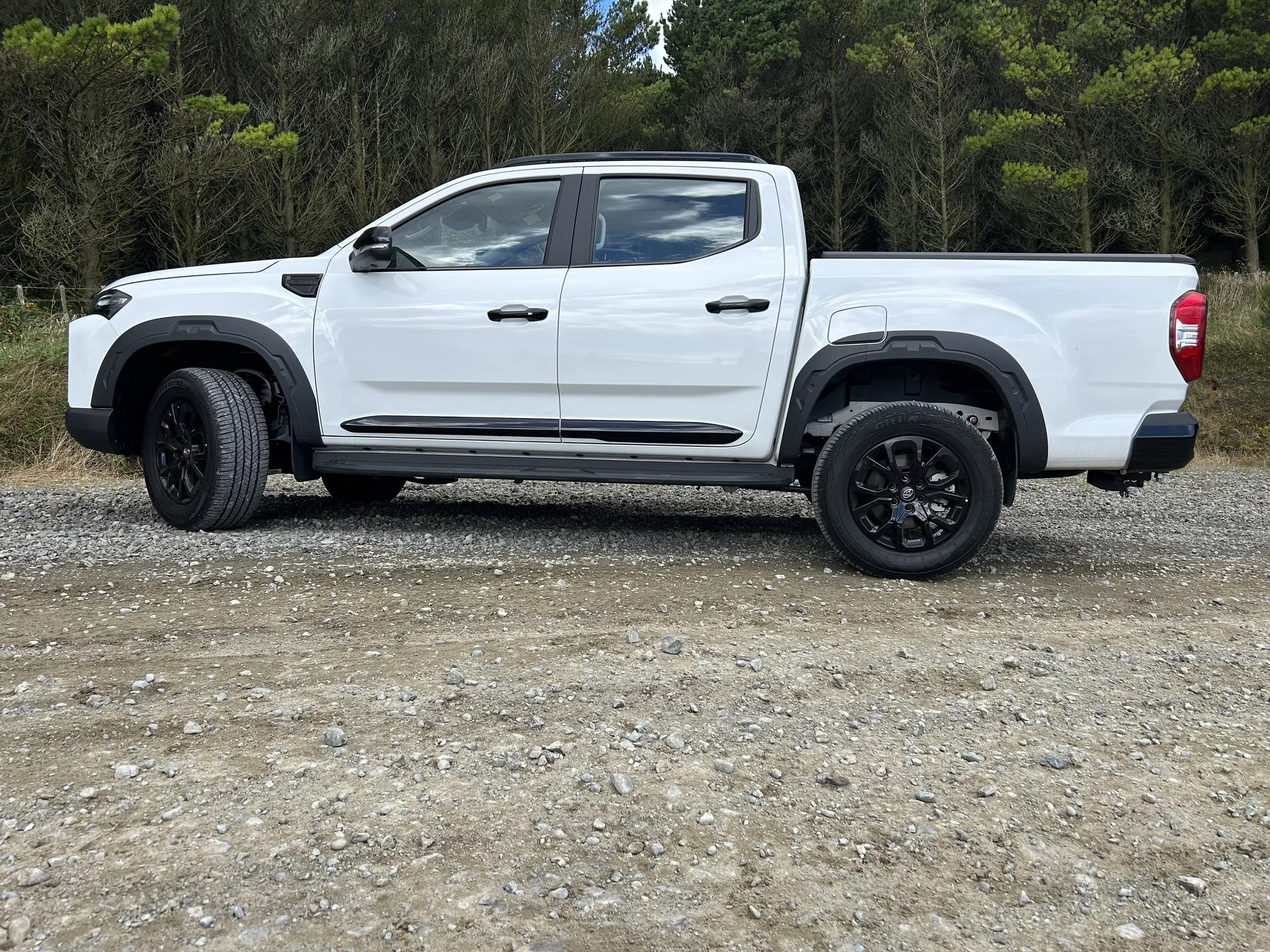 LDV T60 Max Plus road test review: Family hero still a follower ...