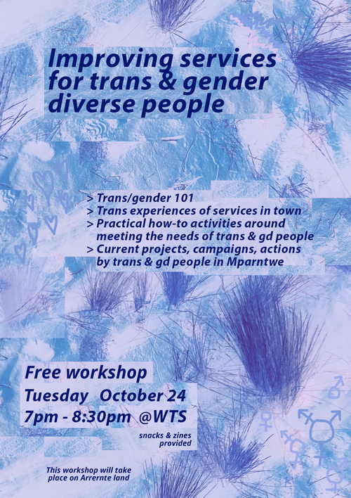 Improving Services For Trans And Gender Diverse People Workshop By Nic