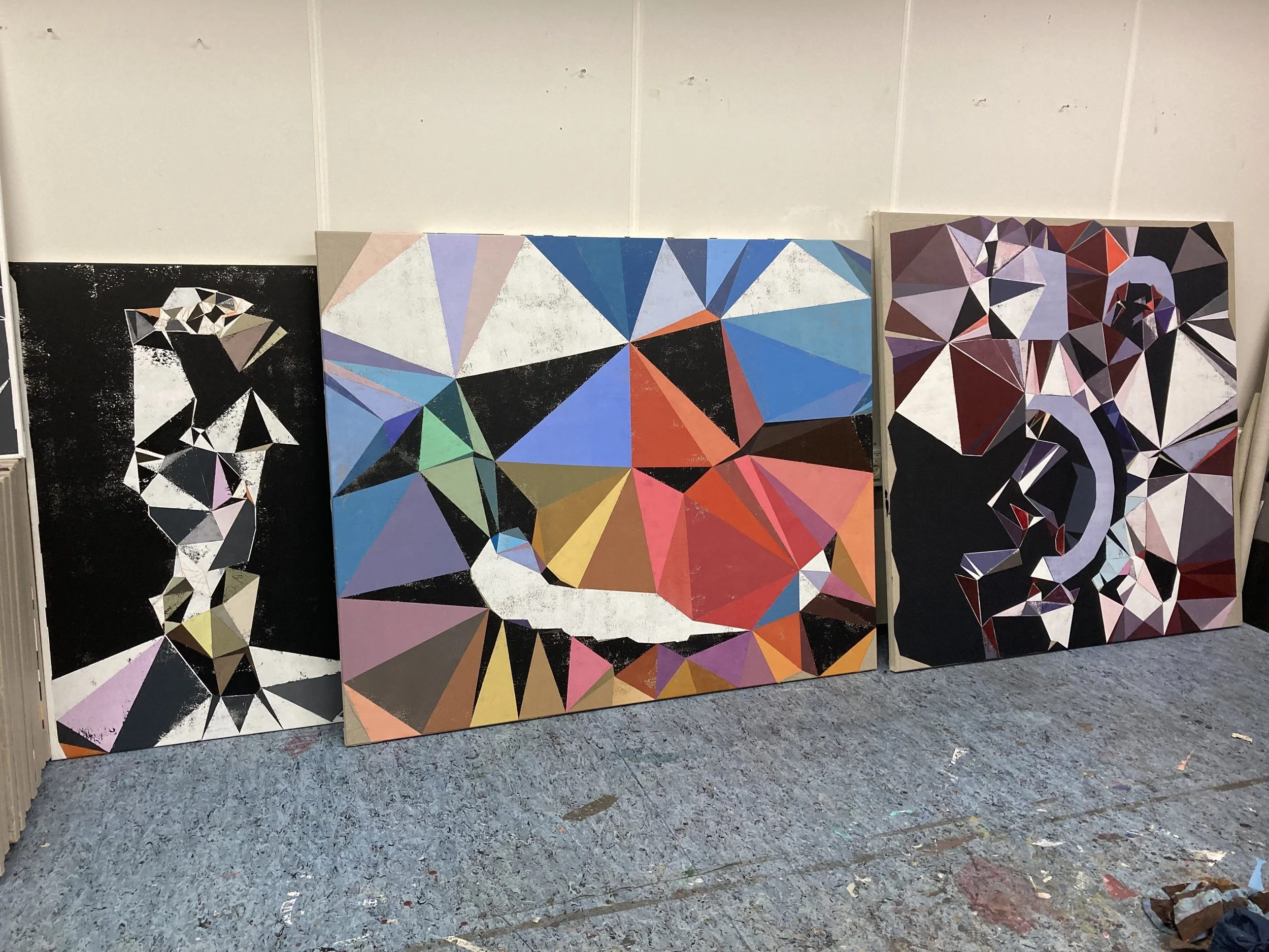 Studio — David Dellagi Visual Artist
