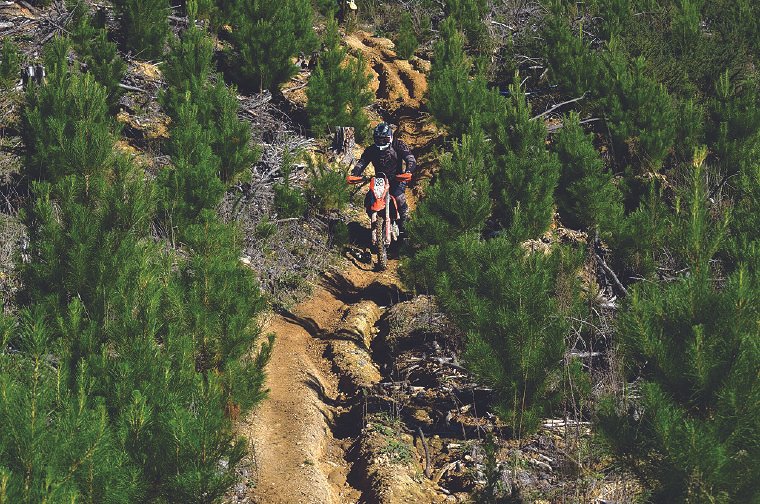 Nelson Motorcycle Enduro Event — Tasman Pine Forests Ltd, Nelson, NZ