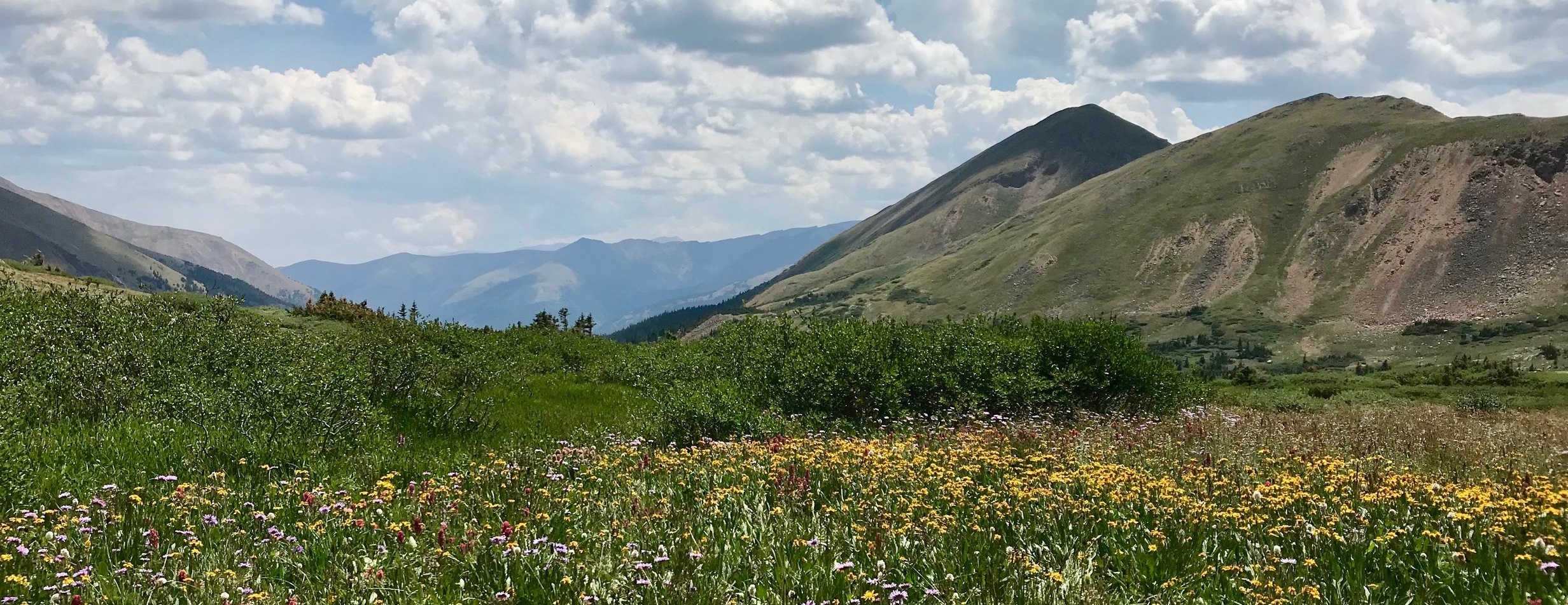 Contact — Pinkowski Law & Policy Group, LLC