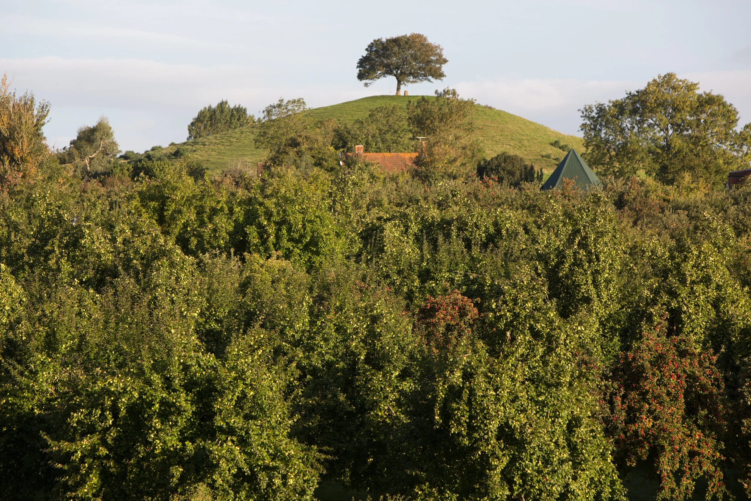 Somerset Cider Brandy and Burrow Hill Cider