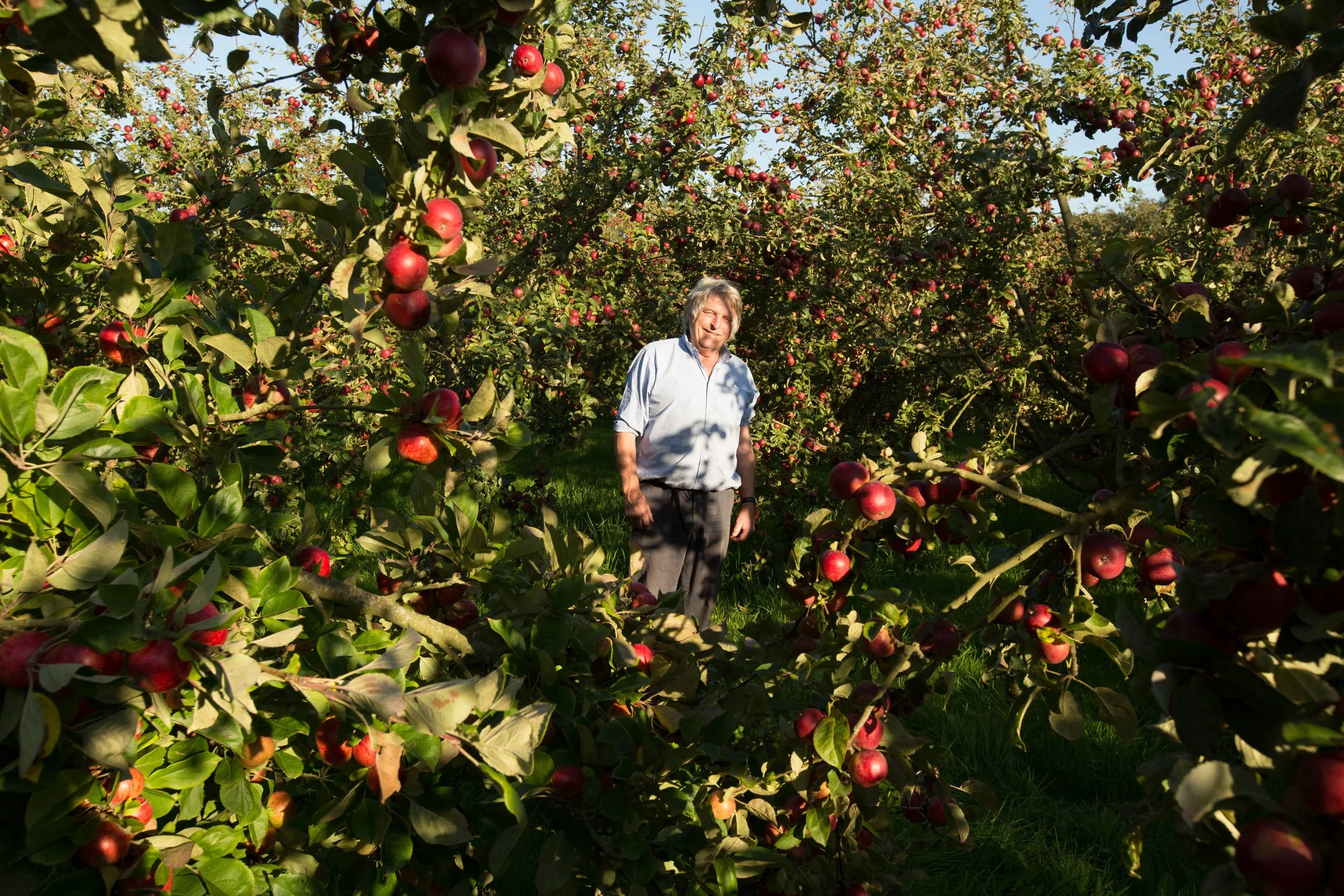 The Somerset Cider Brandy Company — Burrow Hill Cider