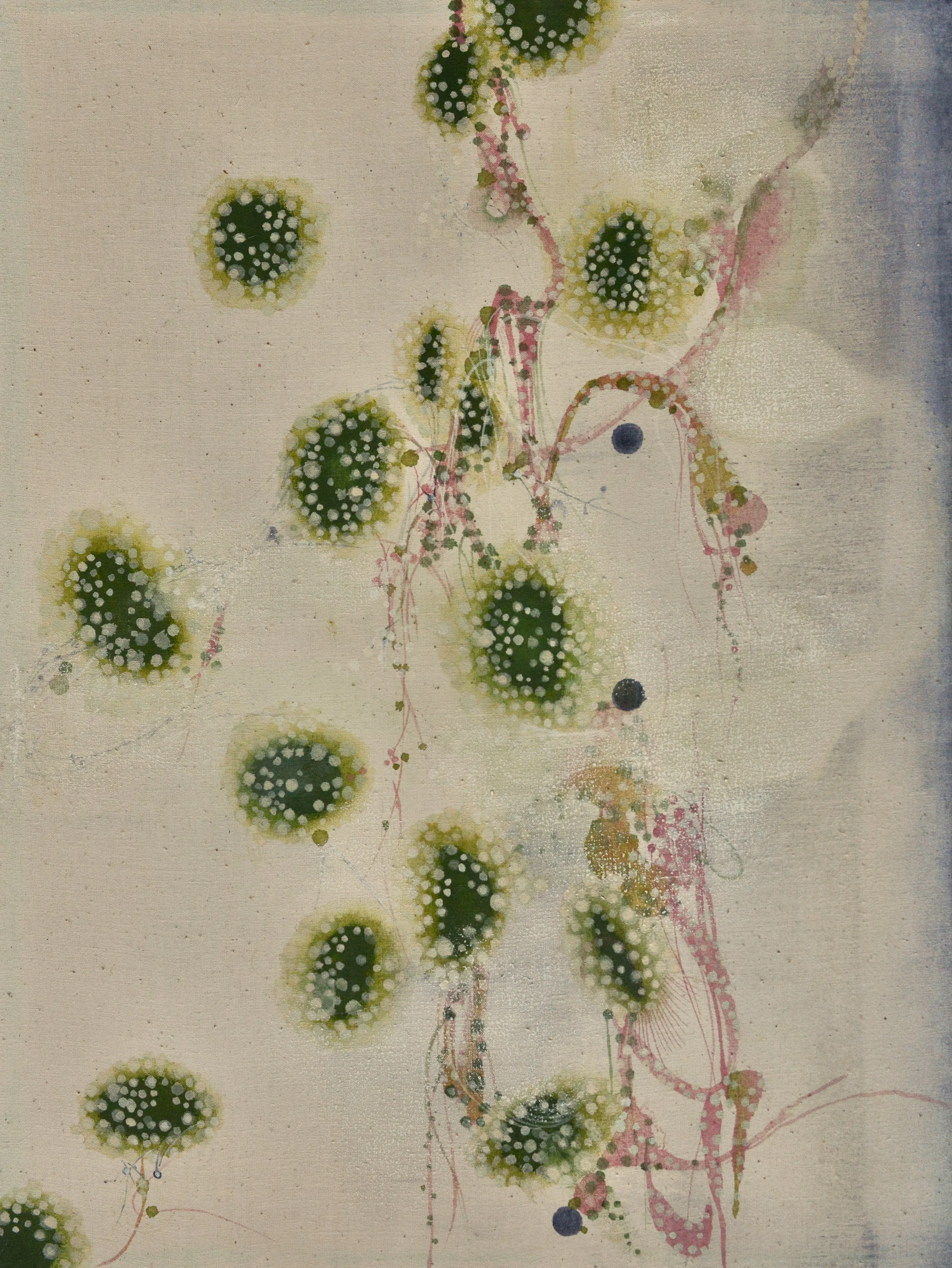 SOO HONG