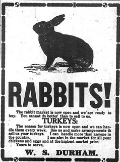OUR NAME — Chatham Rabbits