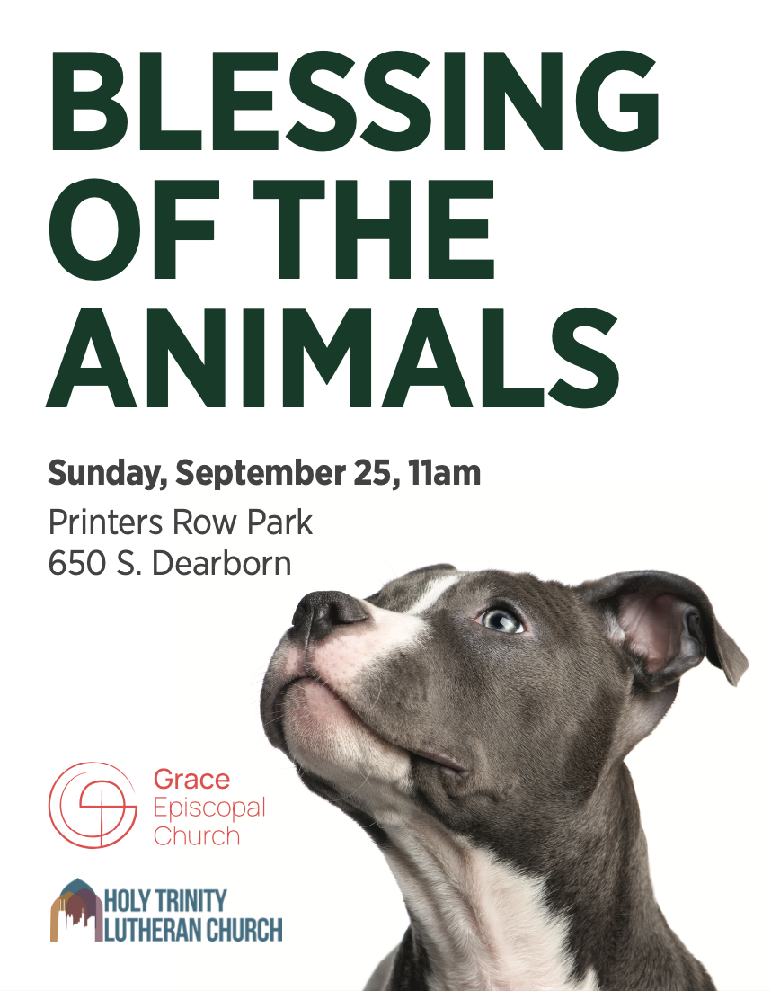 Blessing of the Animals (HTLoop) — Holy Trinity Lutheran Church