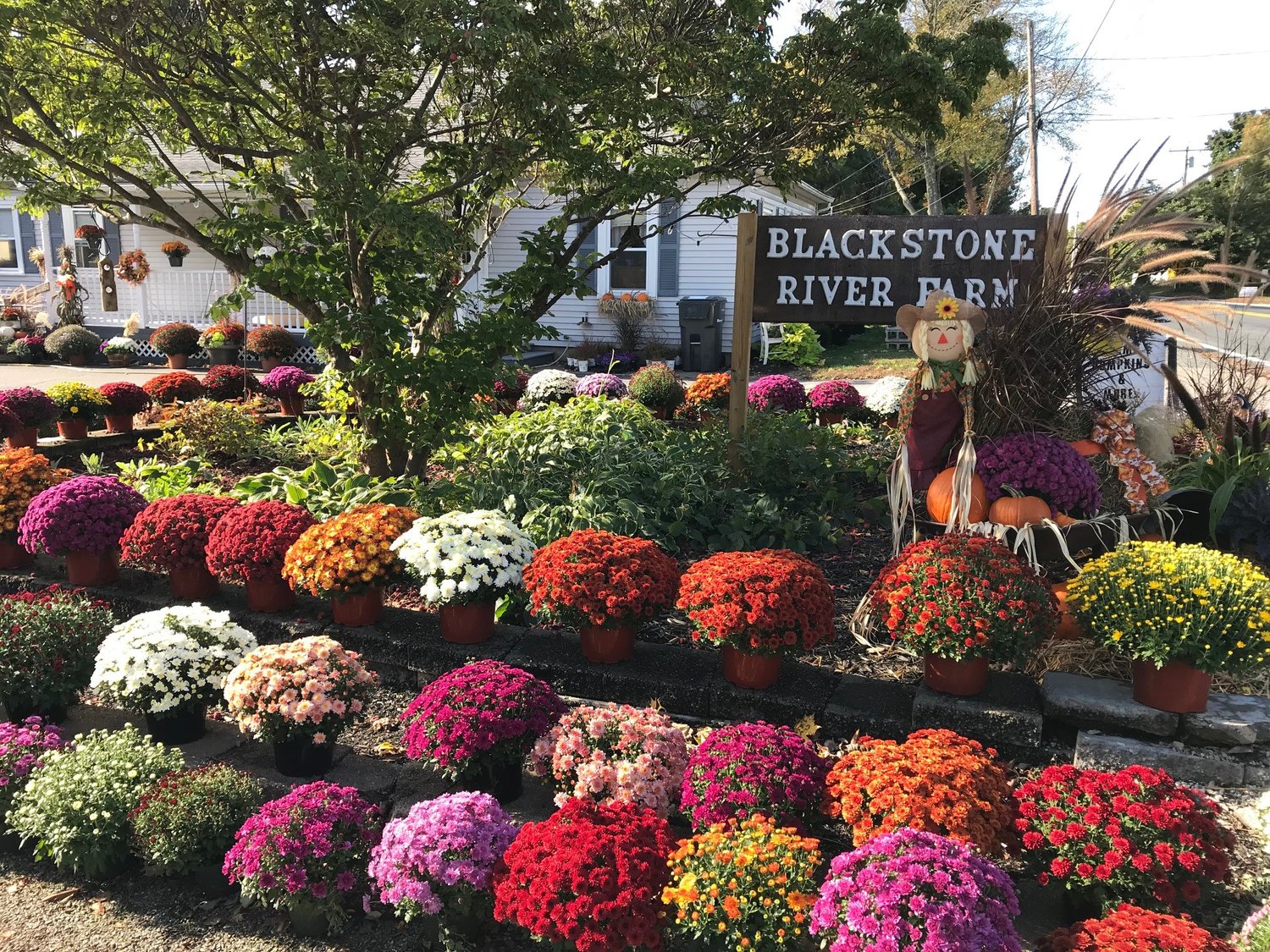 Blackstone River Farm