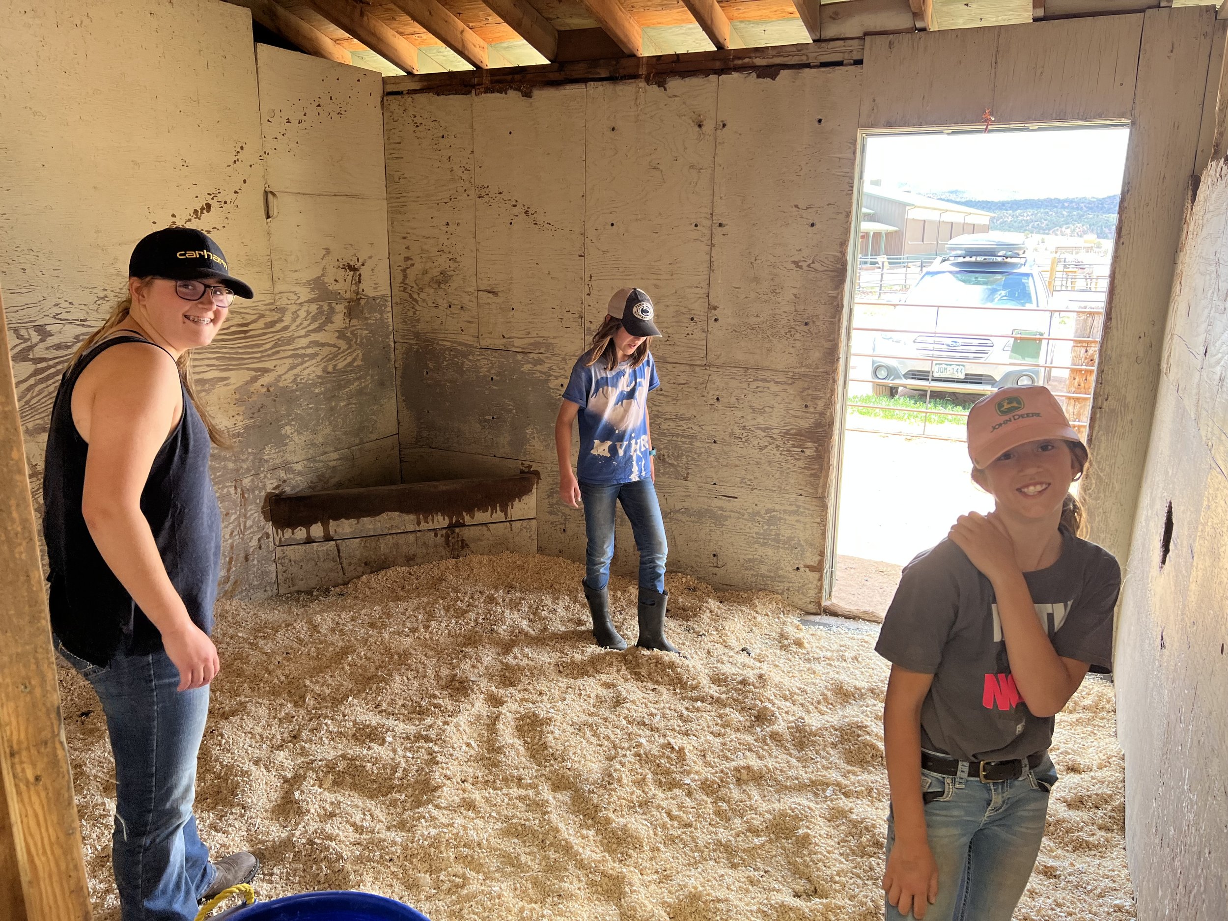 Volunteer — Mountain Valley Horse Rescue