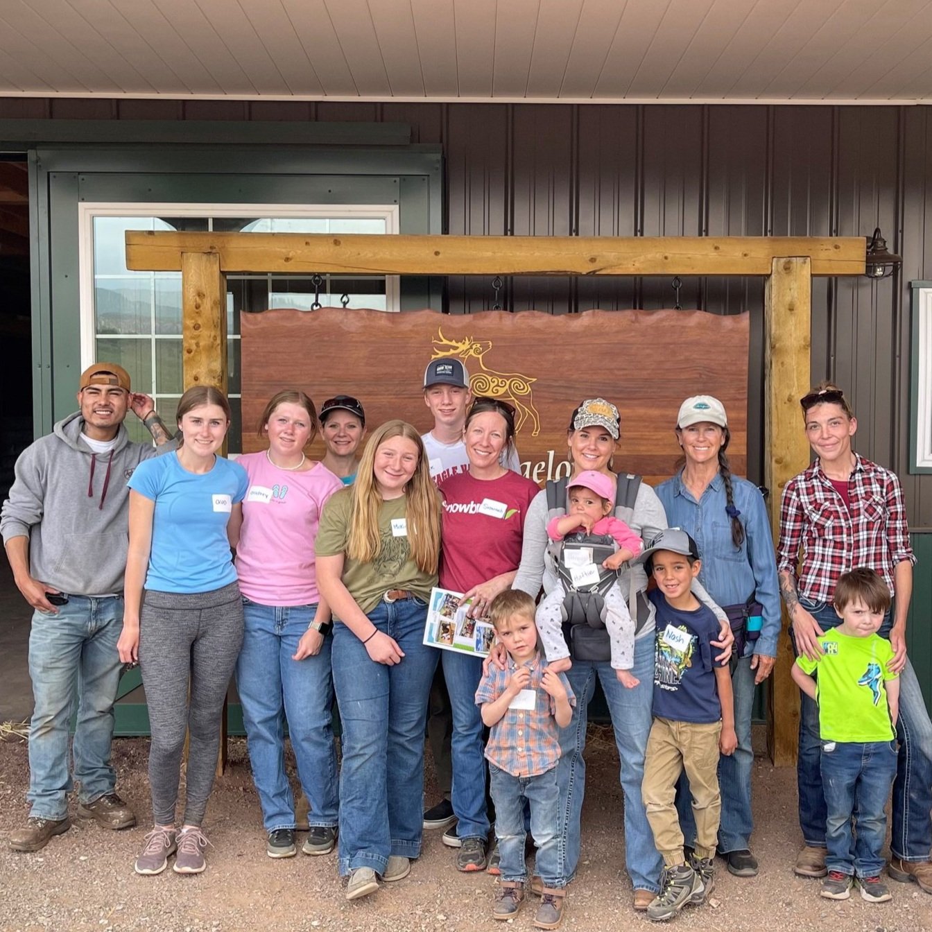 Volunteer — Mountain Valley Horse Rescue