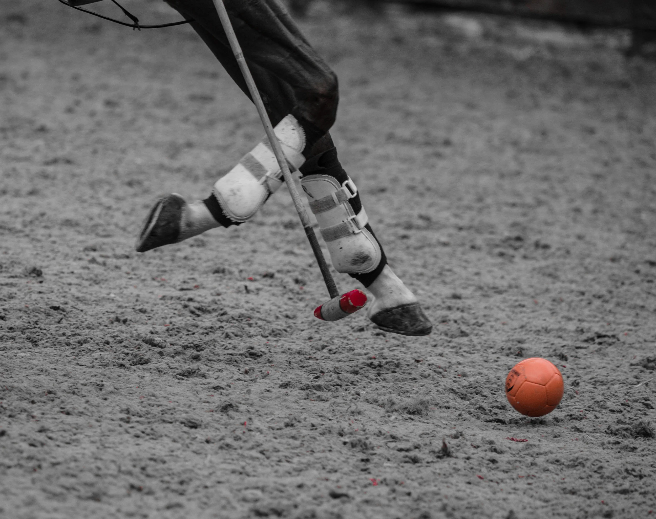 HPA Shop Hertfordshire Polo Academy HPA Shop Hertfordshire Polo Academy