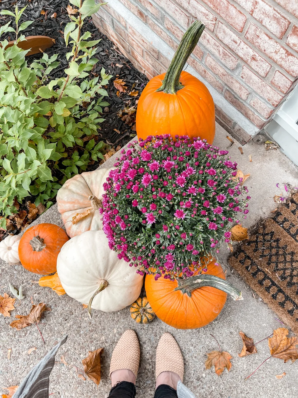Orange and Purple Fall Front Steps — Aratari At Home