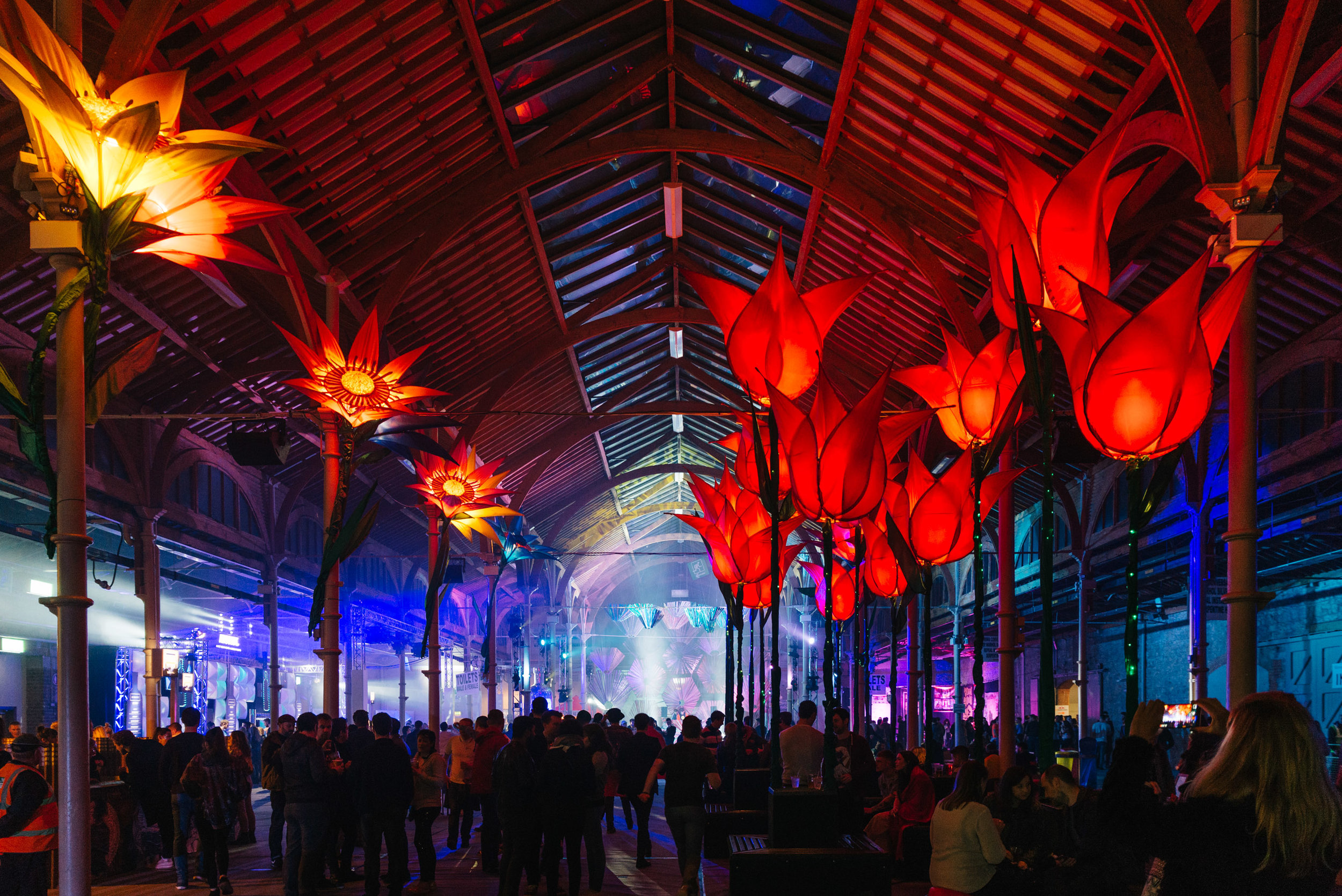 Festivals — POD