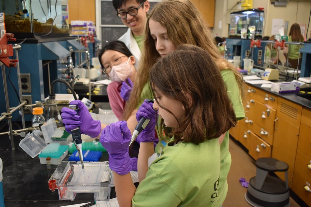 News — Girls' Science Day