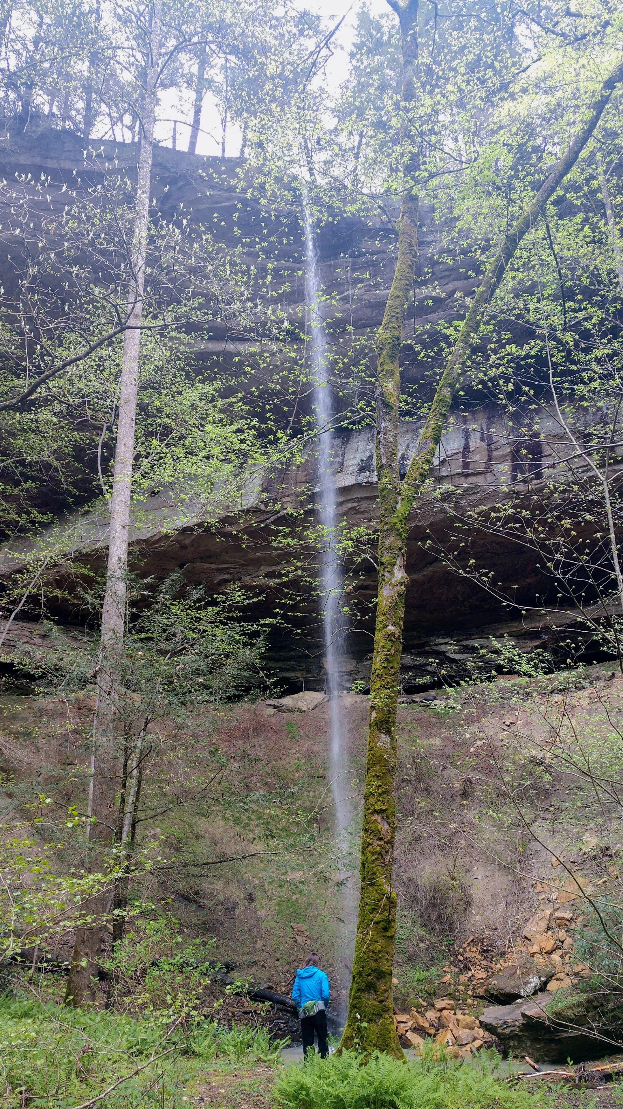 Torrent Falls — Kentucky Hiker