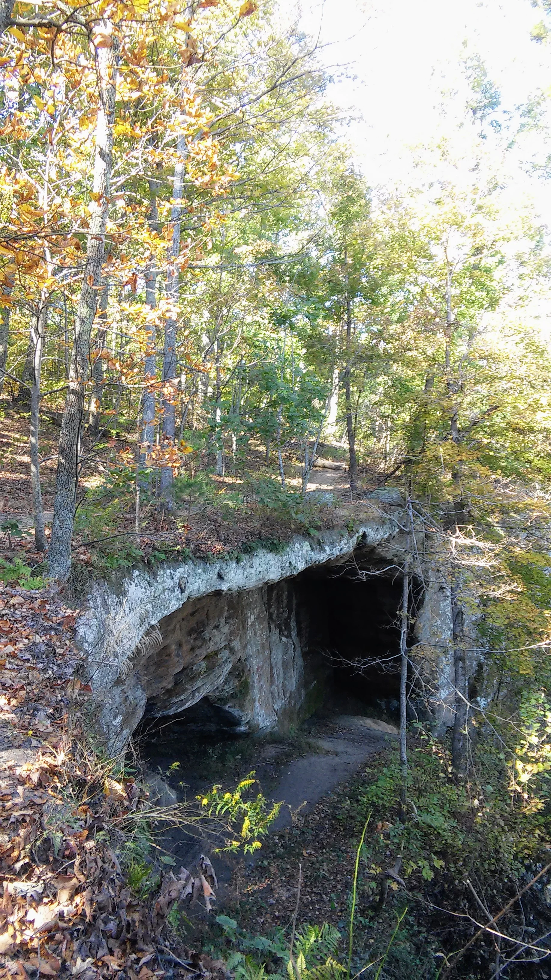 Berea Pinnacles - Indian Fort Mountain — Kentucky Hiker
