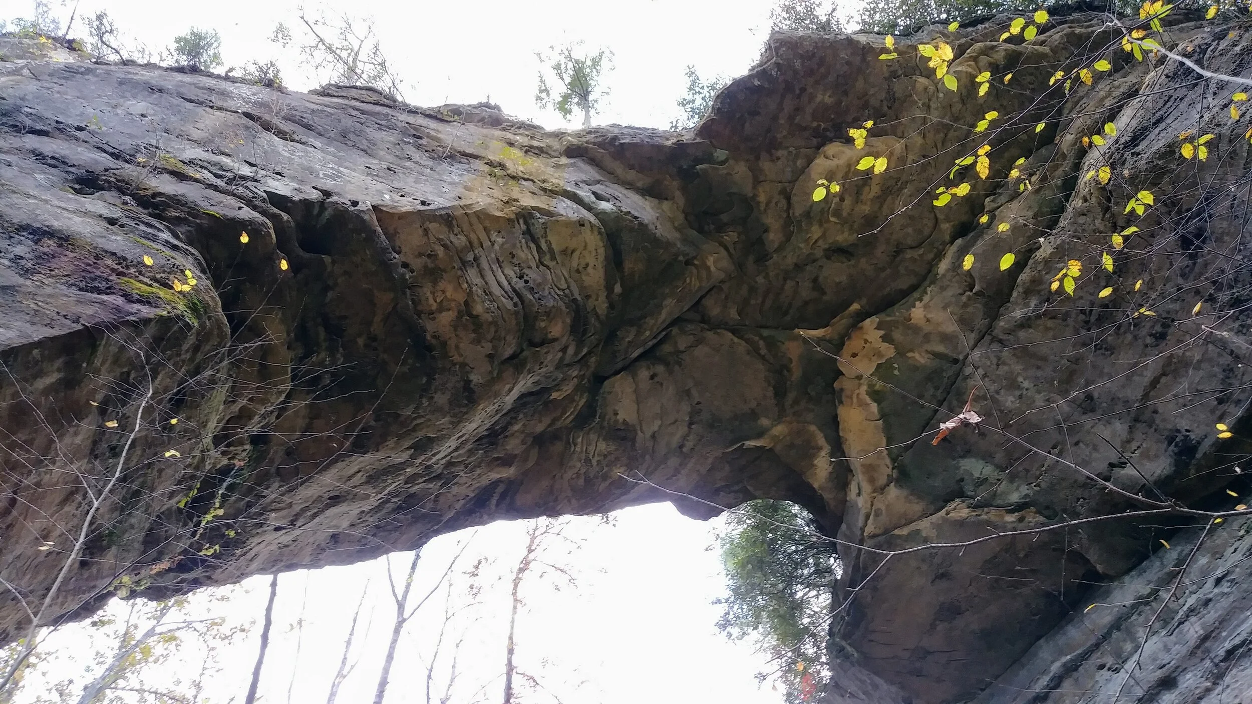 Gray's Arch - Out and Back — Kentucky Hiker