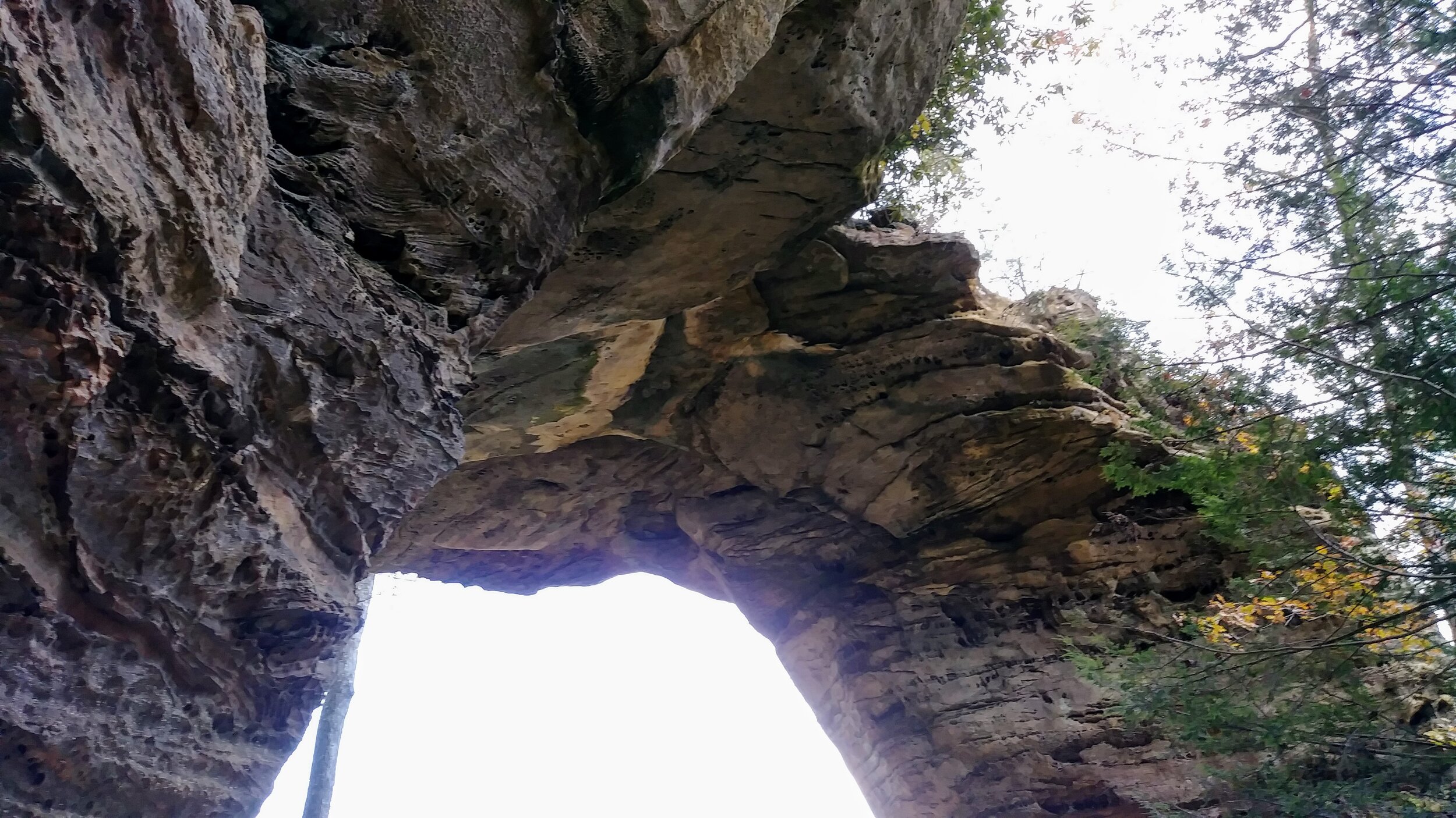 Directions To Gray Kentucky at Michael Sizemore blog