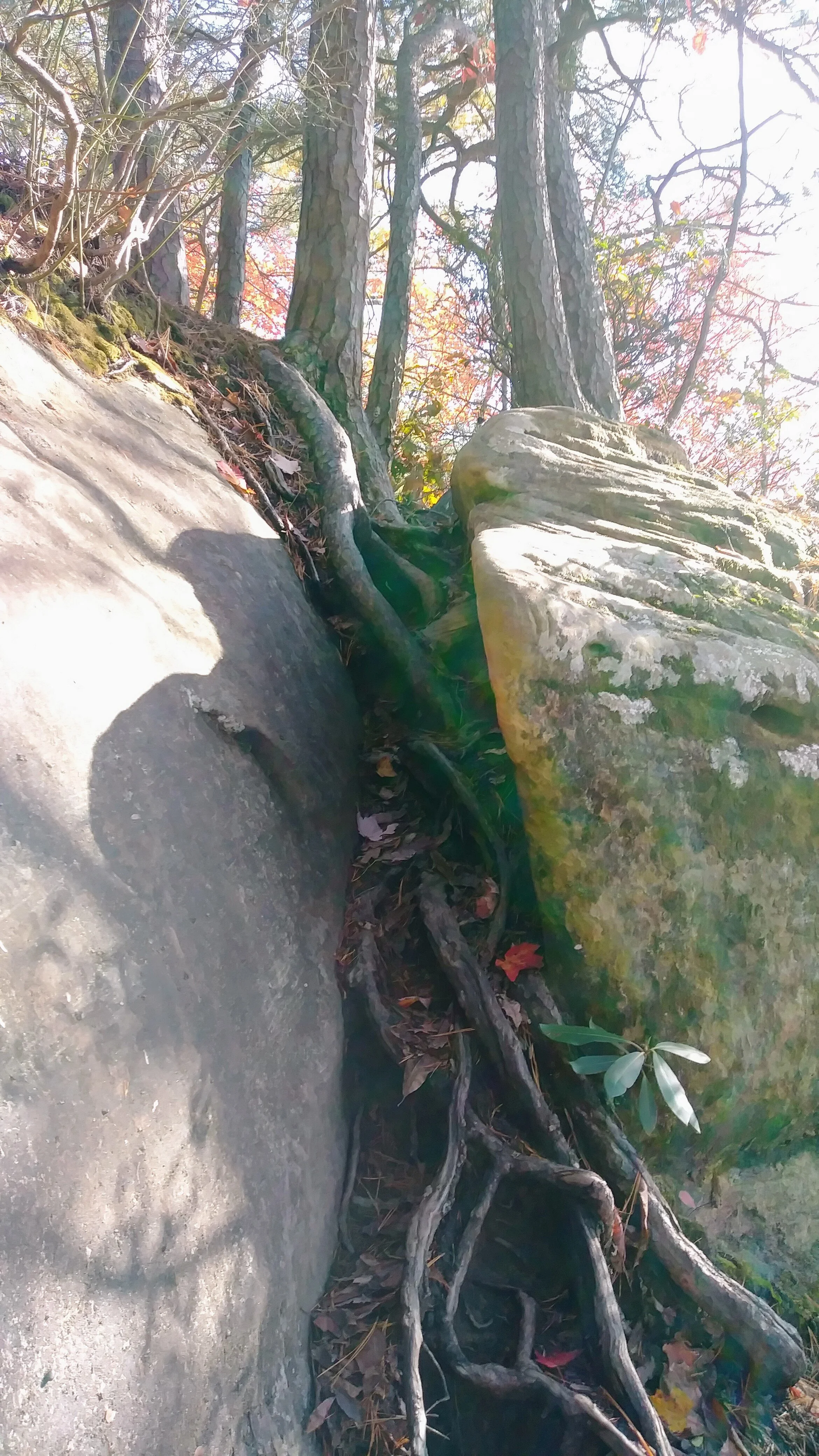 Star Gap Trail Overlook Extravaganza — Kentucky Hiker