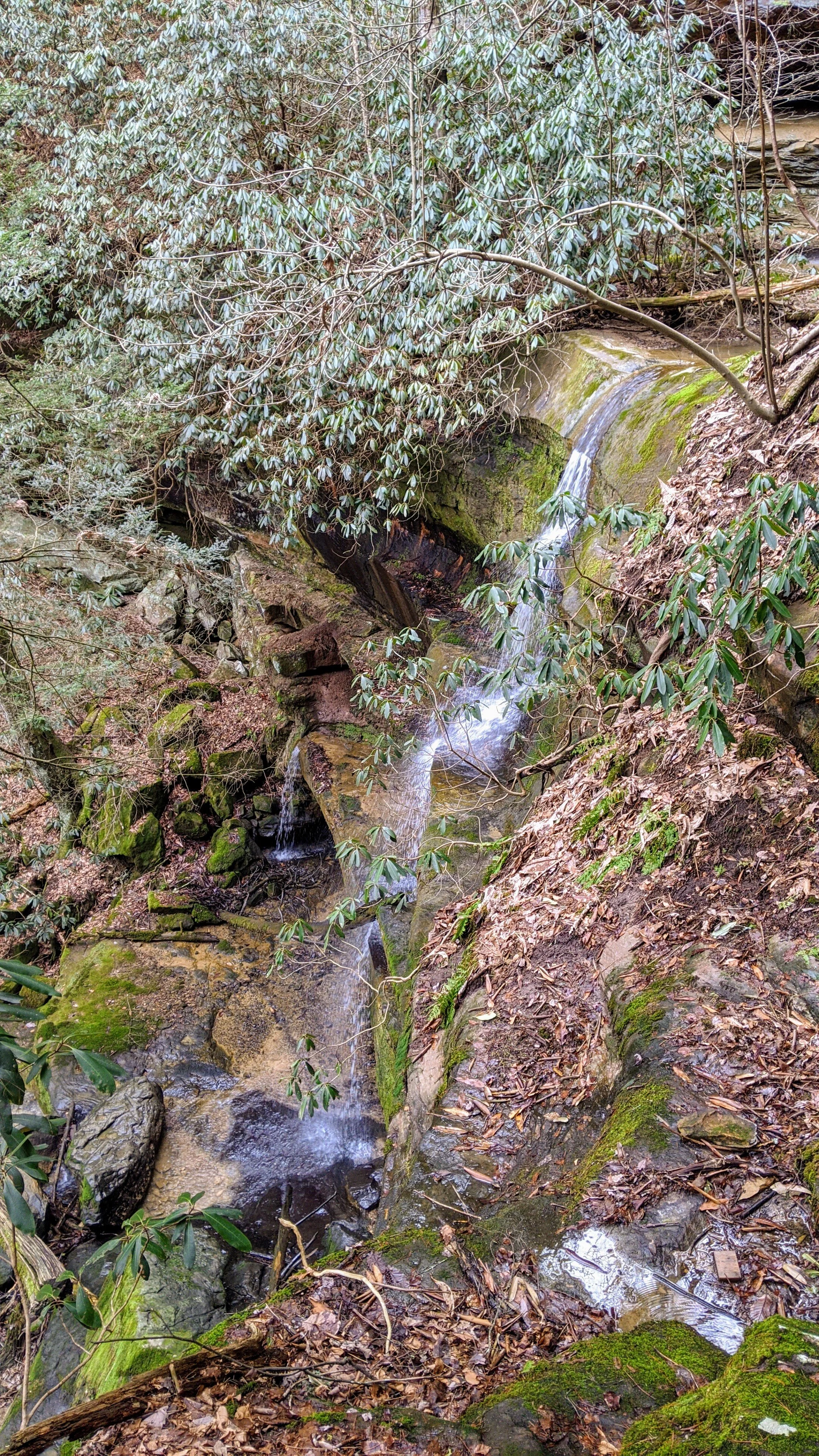 Muir Valley Named Waterfalls Hike - Liz's Arch, Horseshoe Falls, Joe ...