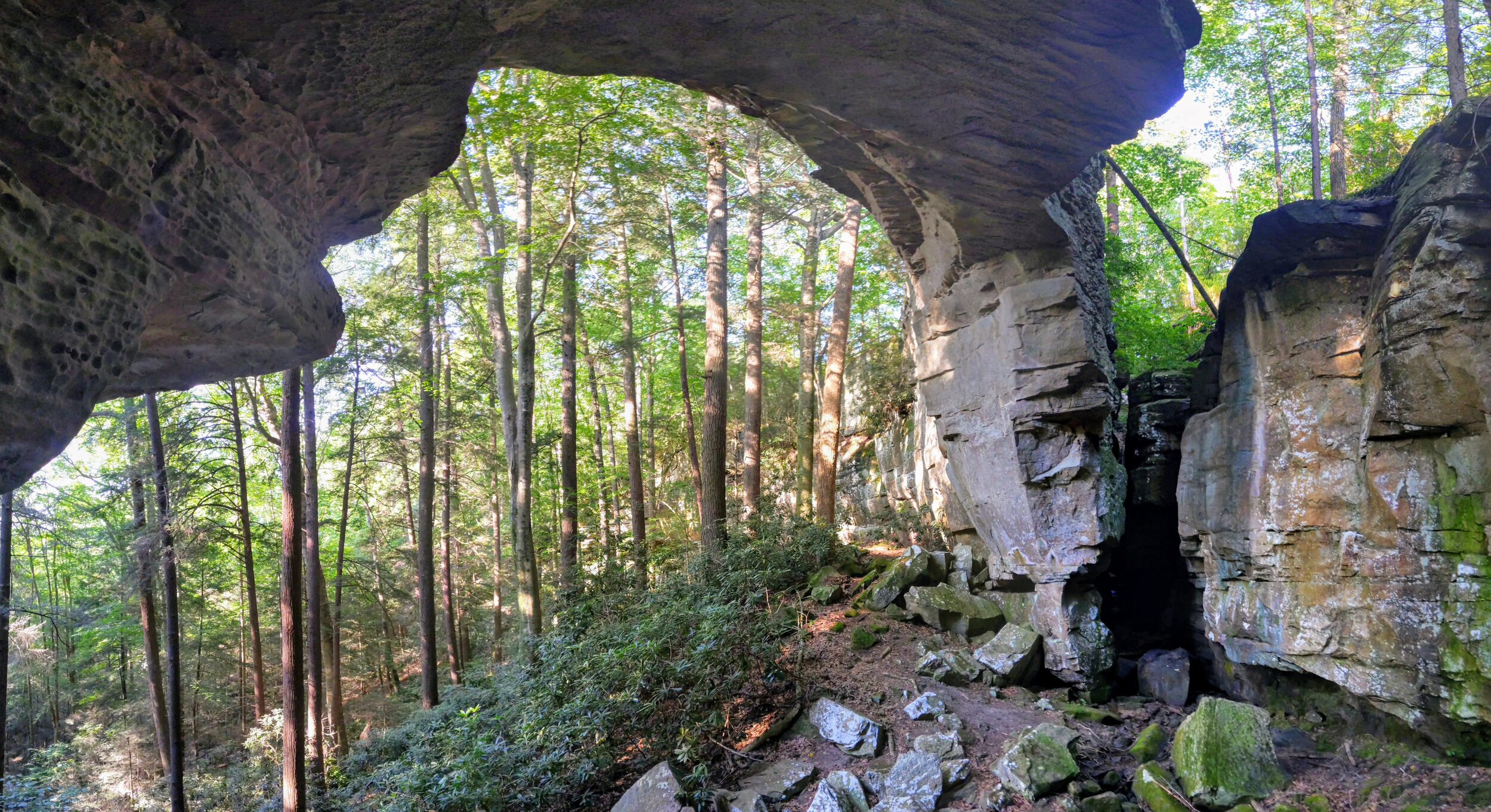 Split Bow Arch Loop — Kentucky Hiker