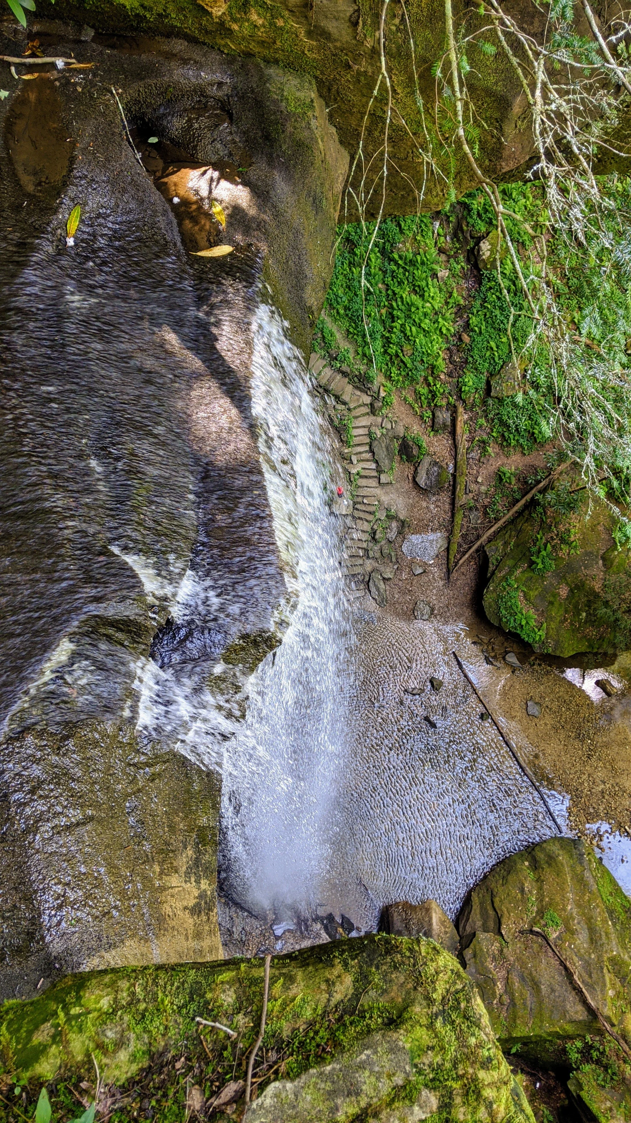Yahoo Falls Loop — Kentucky Hiker